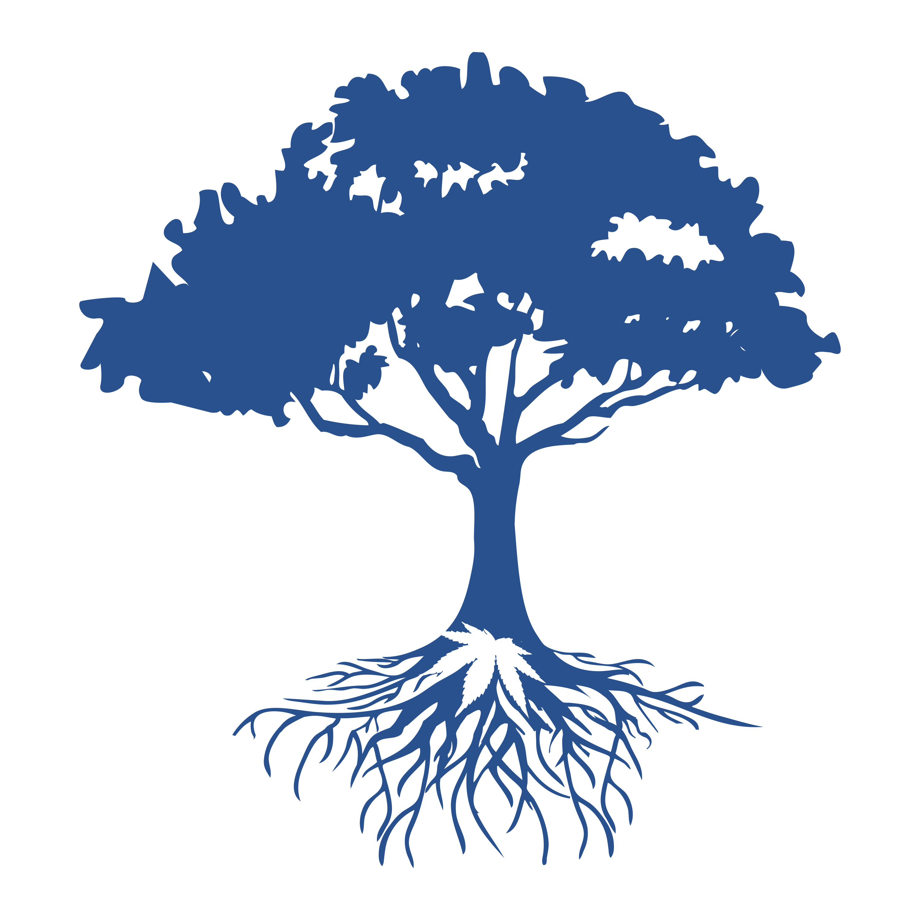 Blue Roots Cannabis Co.: Stay true to your roots. | Leafly