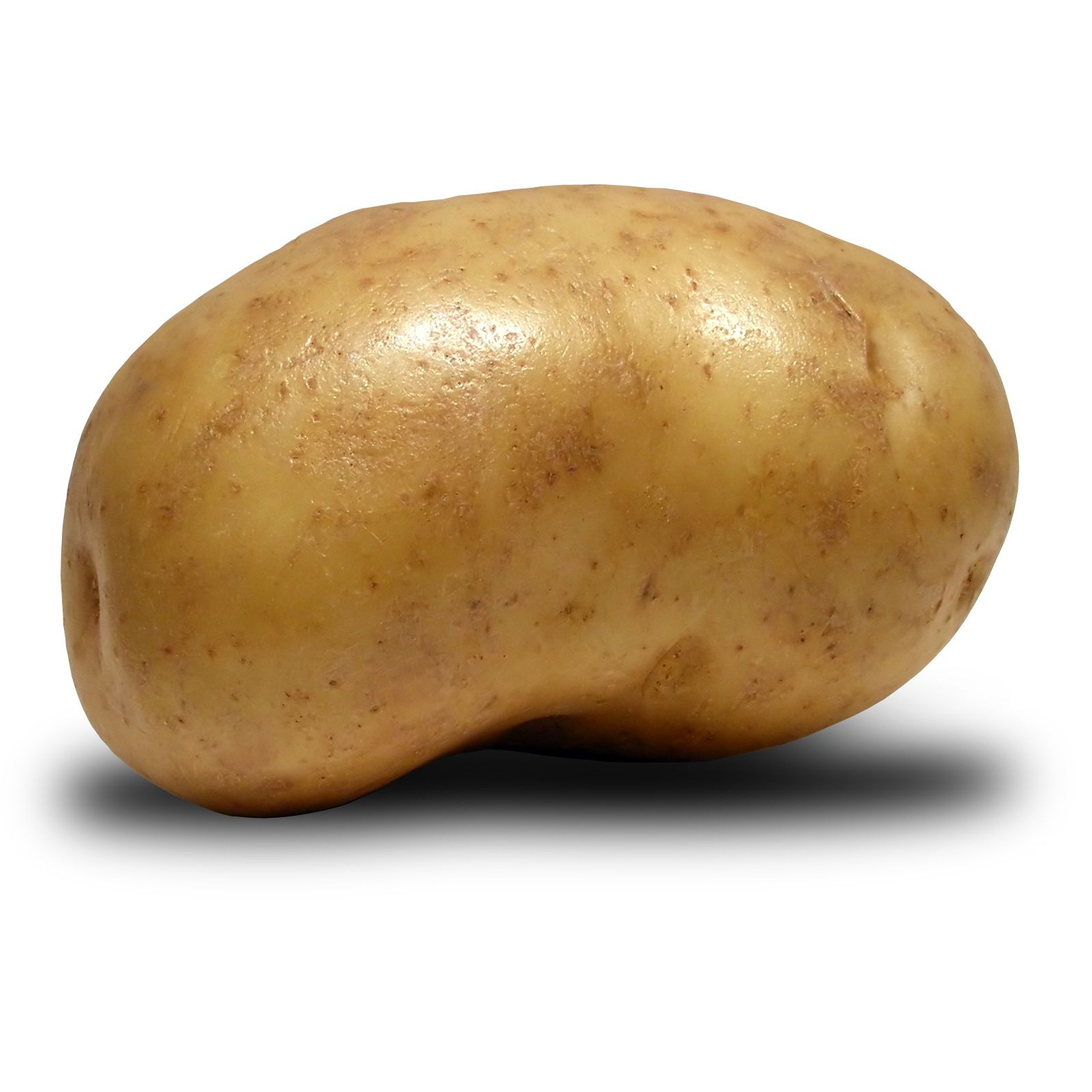 Brotato Games: We make games for you and your friends | Leaf