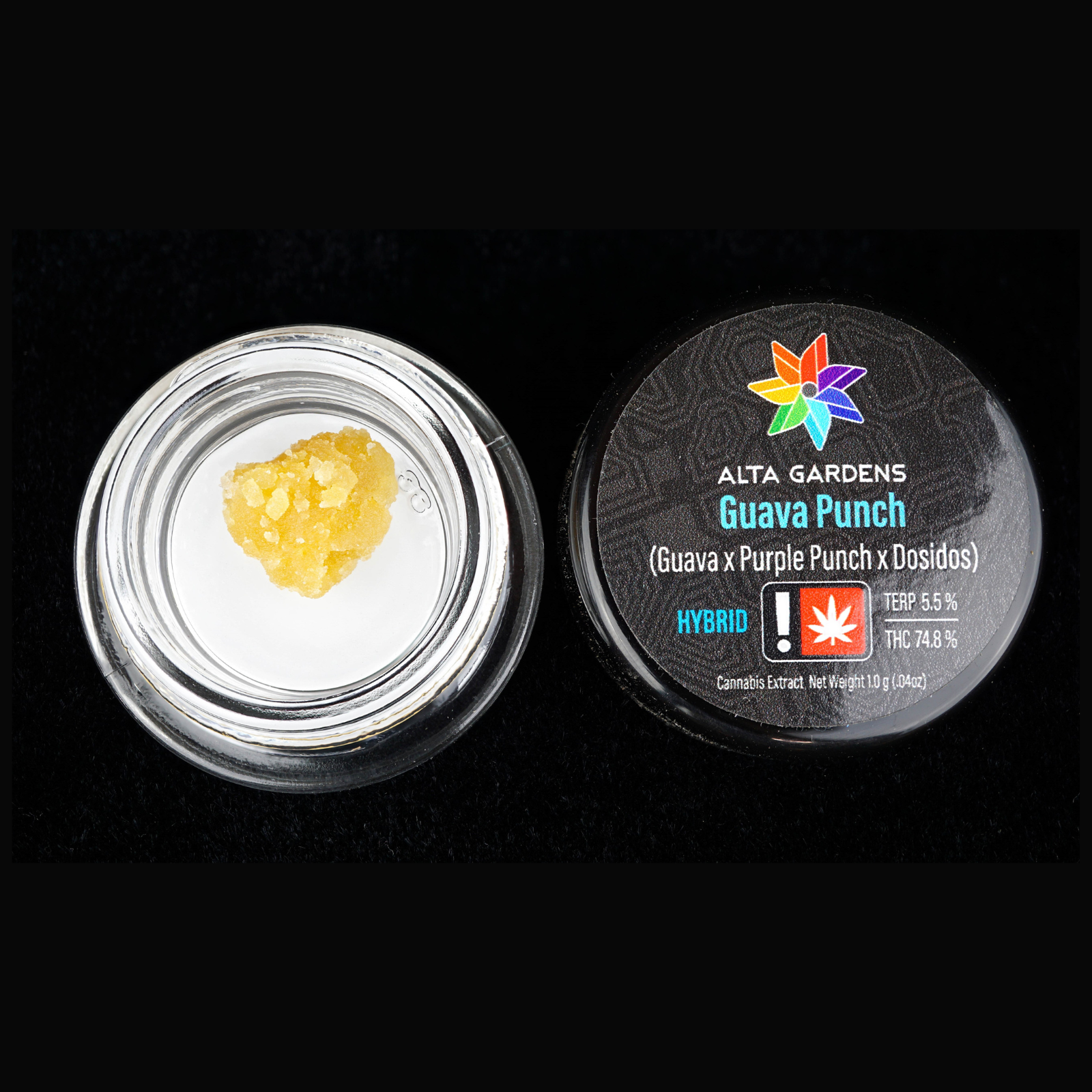 Alta Gardens: Guava Punch - Cured Resin | Leafly