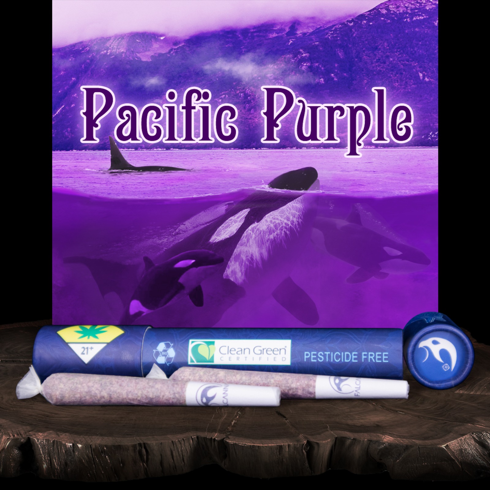 Falcanna: Pacific Purple Pre-Rolls 1.2g 2-Pack | Leafly