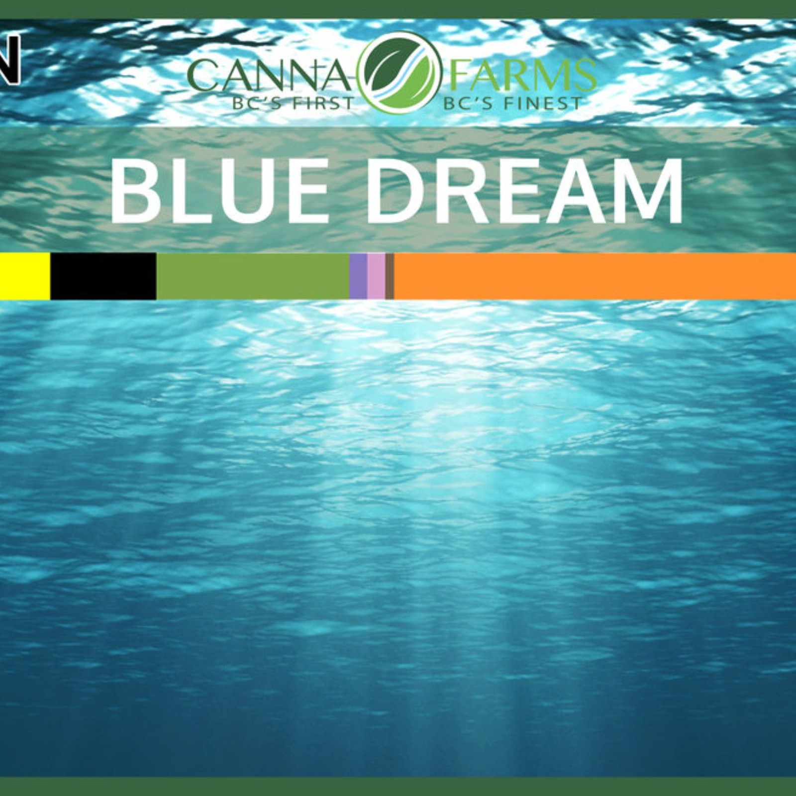 Canna Farms: Blue Dream | Leafly