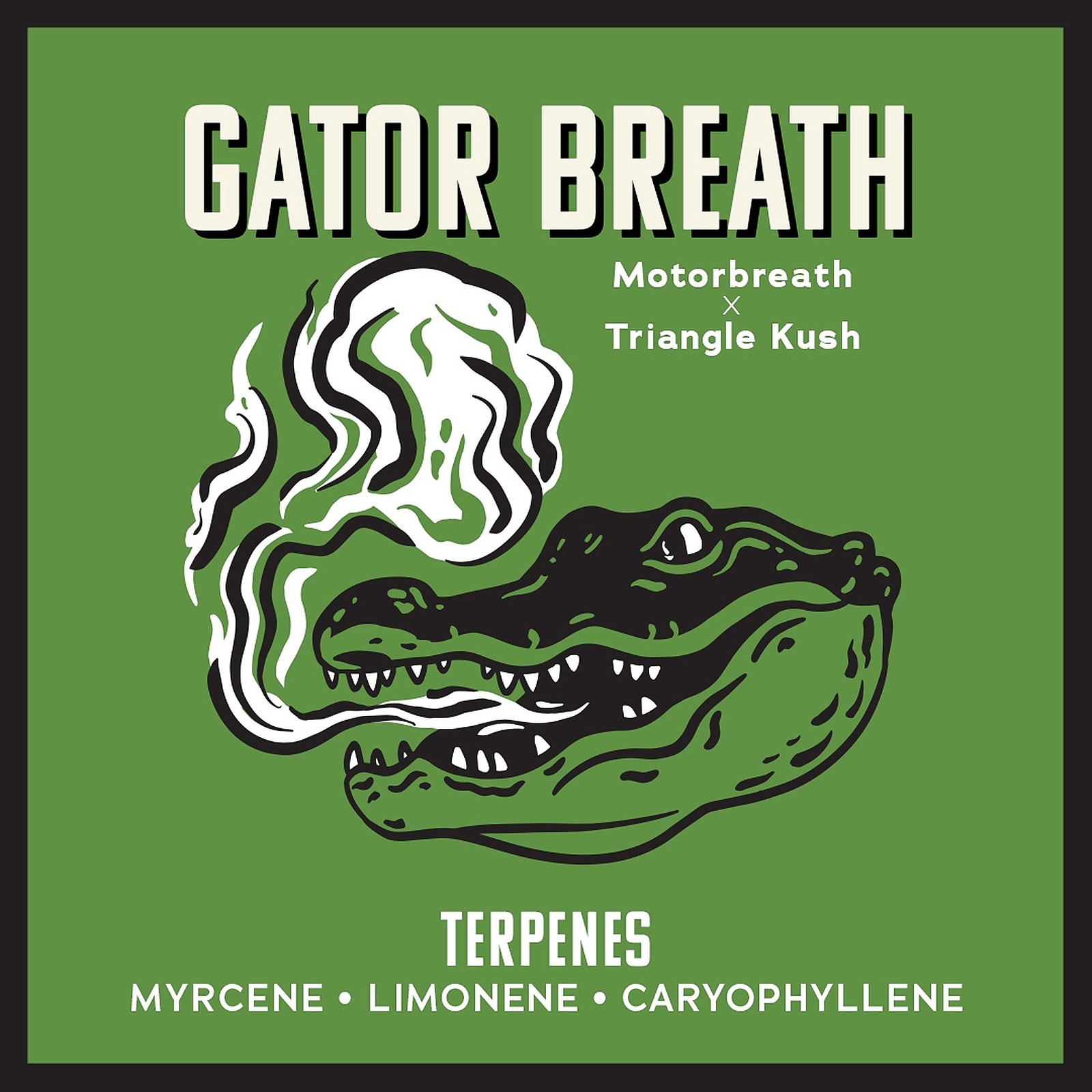 INSA: Gator Breath | Leafly