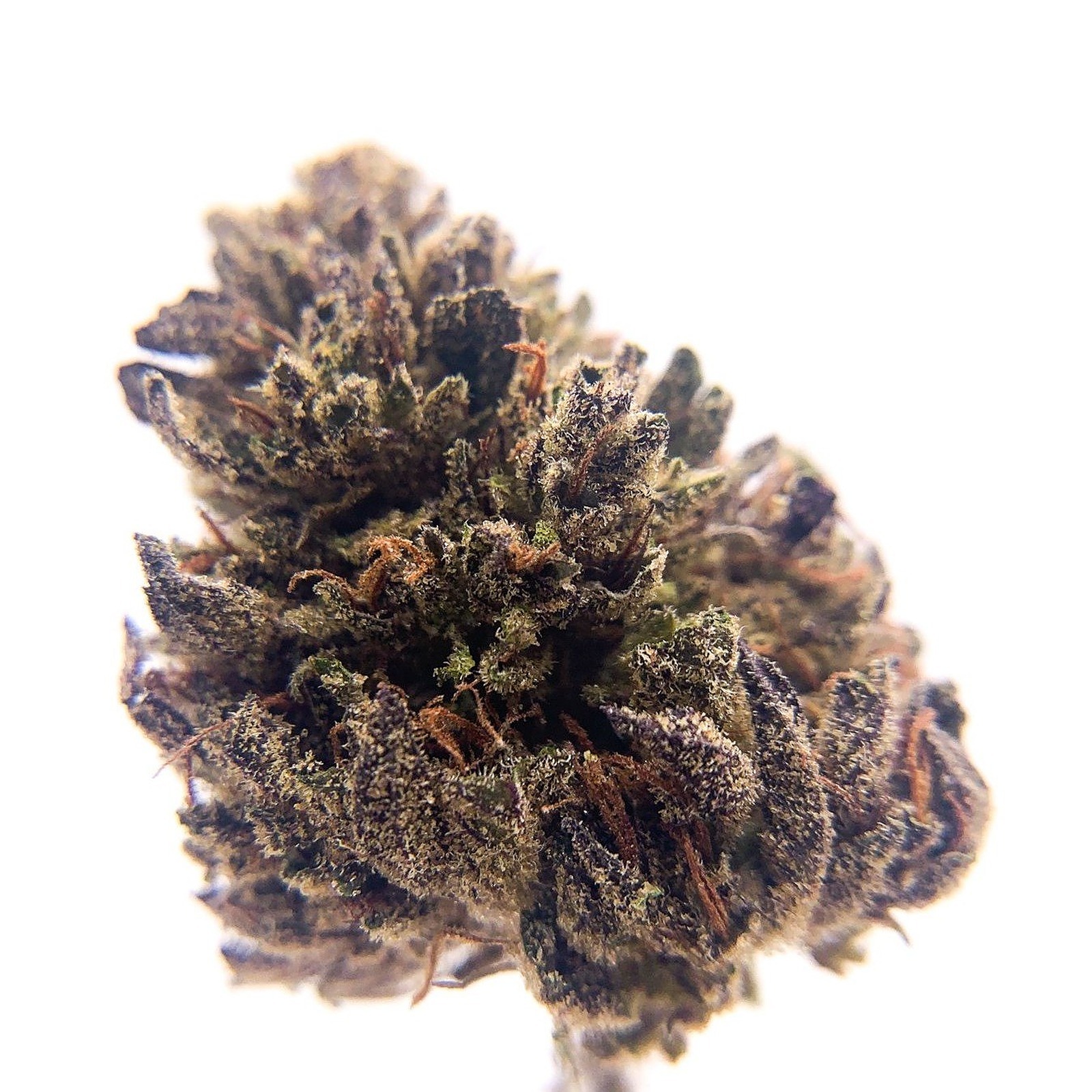 CaliConnected Online Headshop: Lifter CBD Flower (21.03% CBD) | Leafly