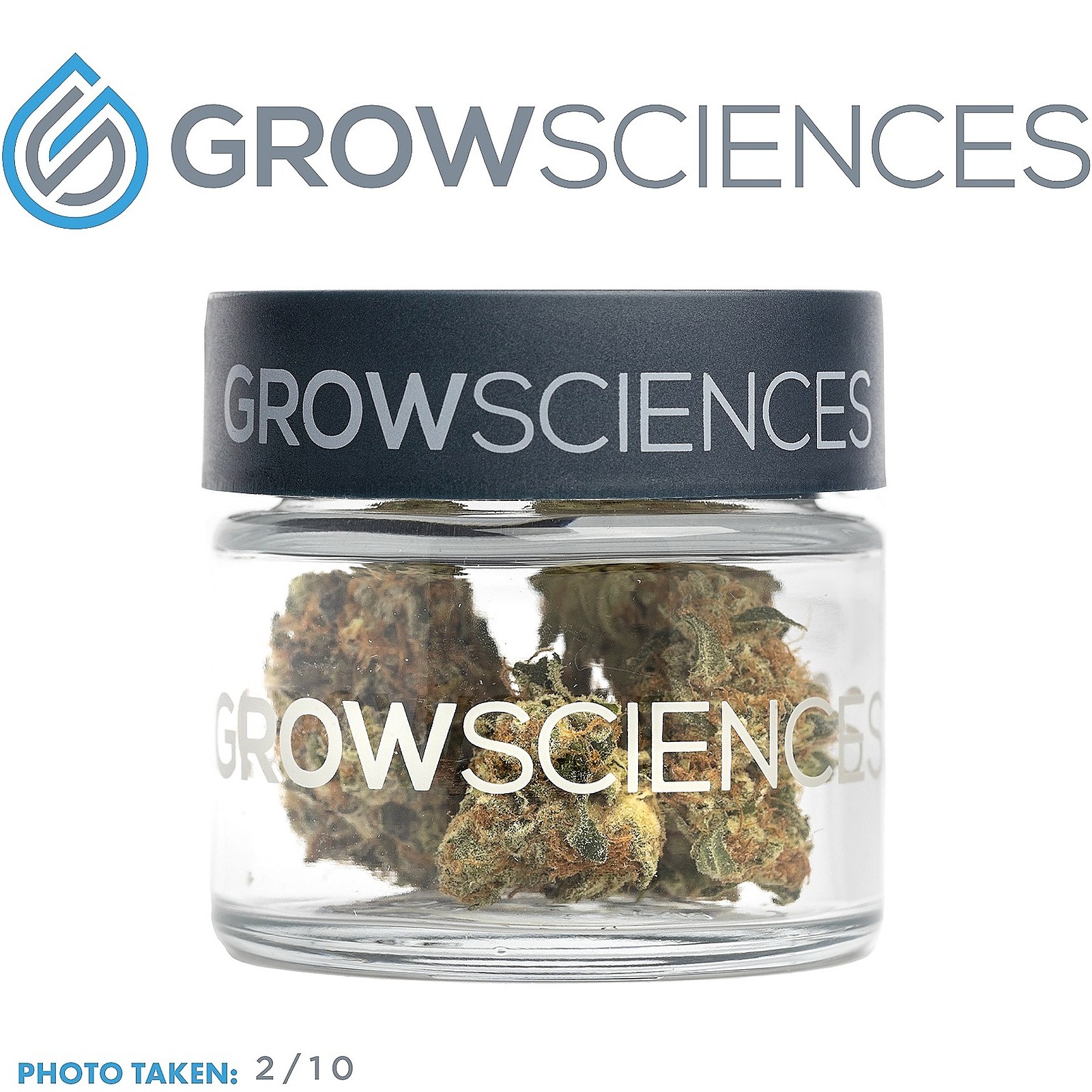 Grow Sciences: Secret Triangle (3.7) | Leafly