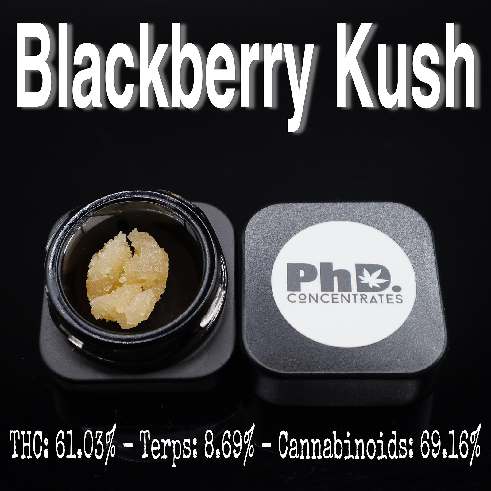 Pharmicated: PhD - Blackberry Kush - Concentrate 1g - 61.03% THC | Leafly