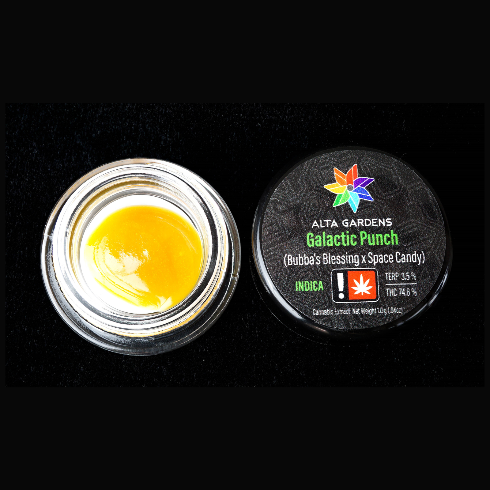 Alta Gardens: Galactic Punch - Cured Resin | Leafly