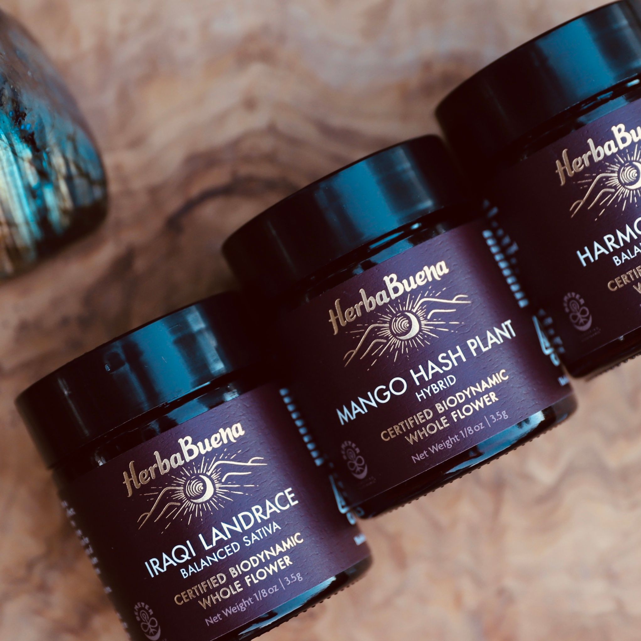 HerbaBuena: Mango Hash Plant | Leafly