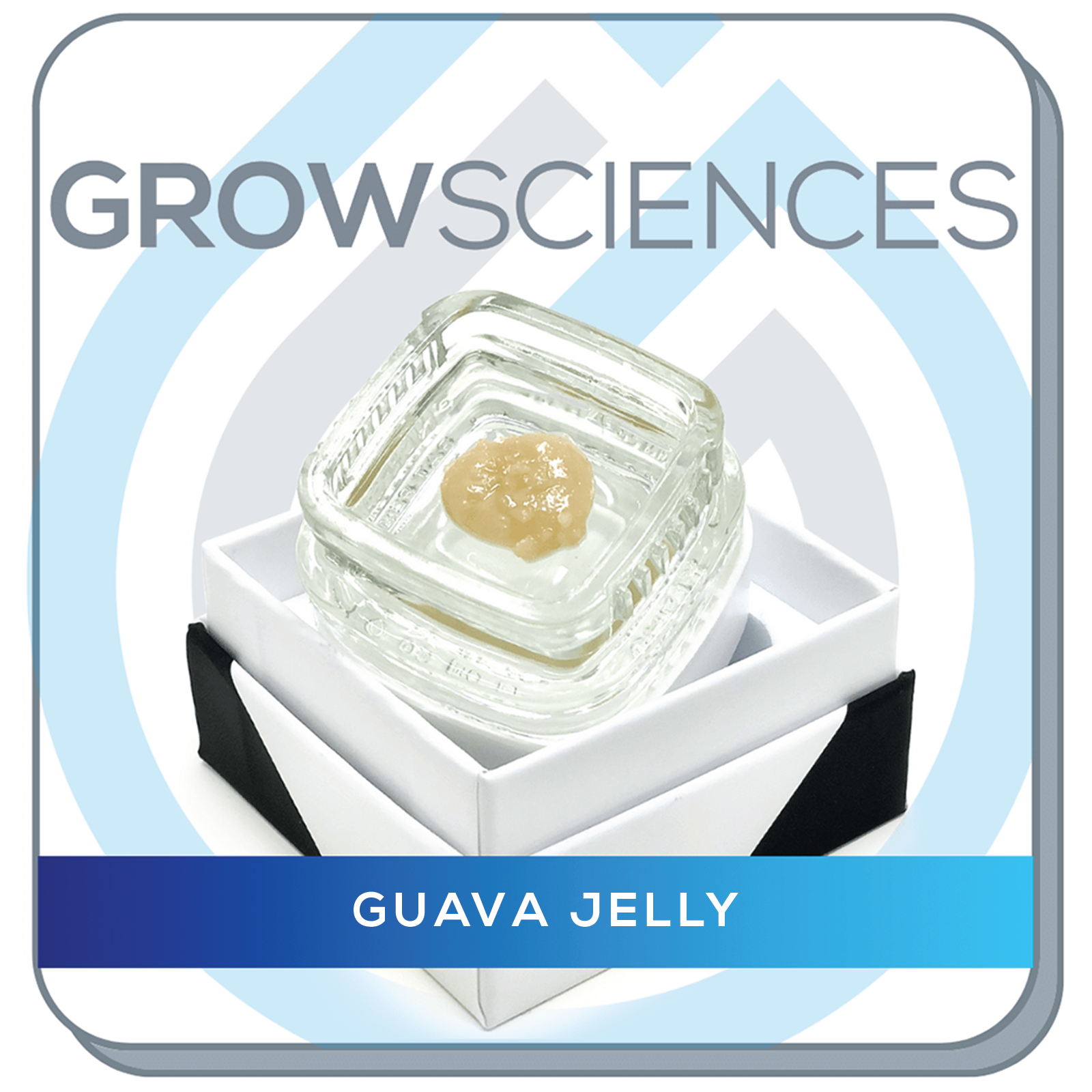 Grow Sciences: Guava Jelly Live Hash Rosin Cold Cure (1g) | Leafly