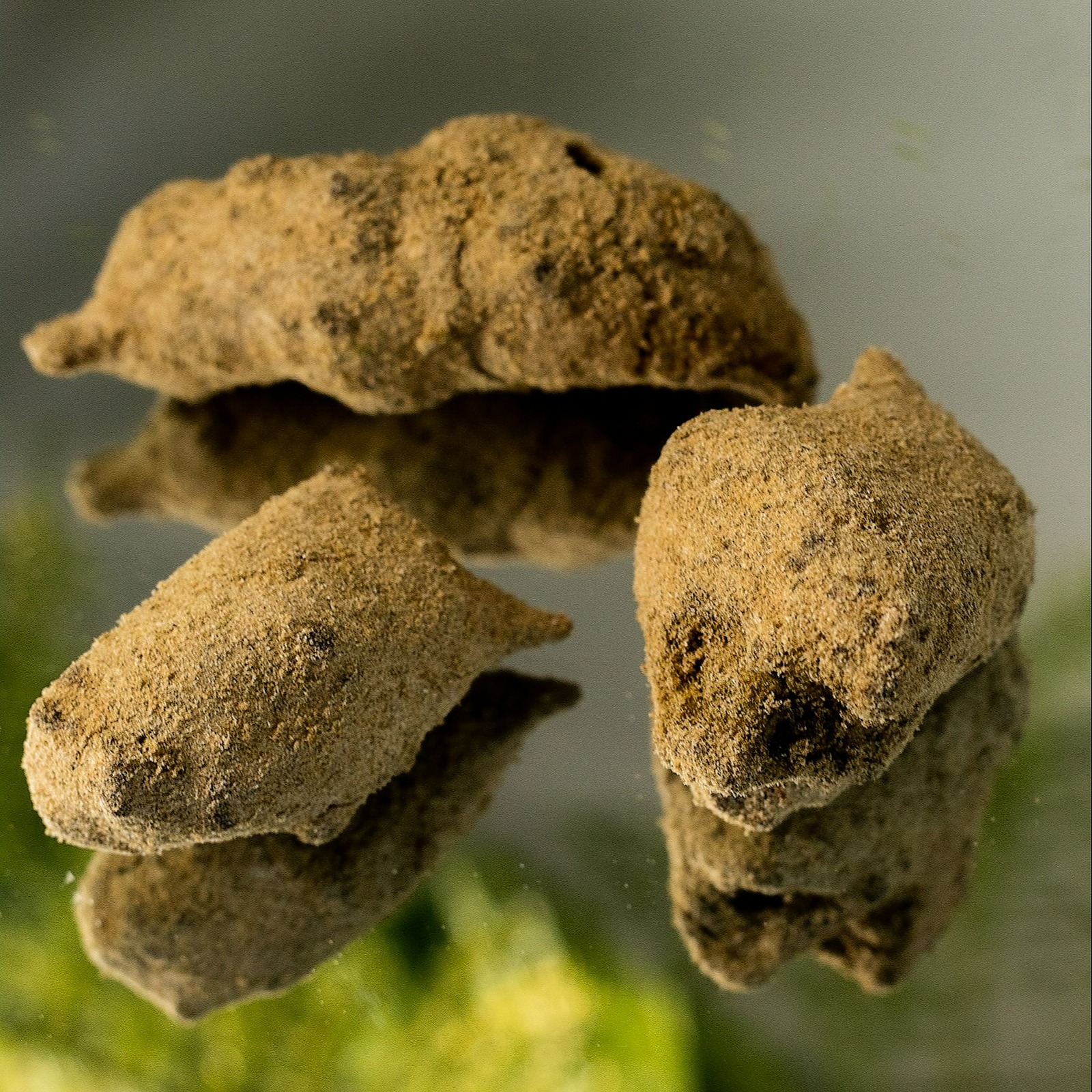 Hemp Pantry: Asteroids Delta 10 | Leafly