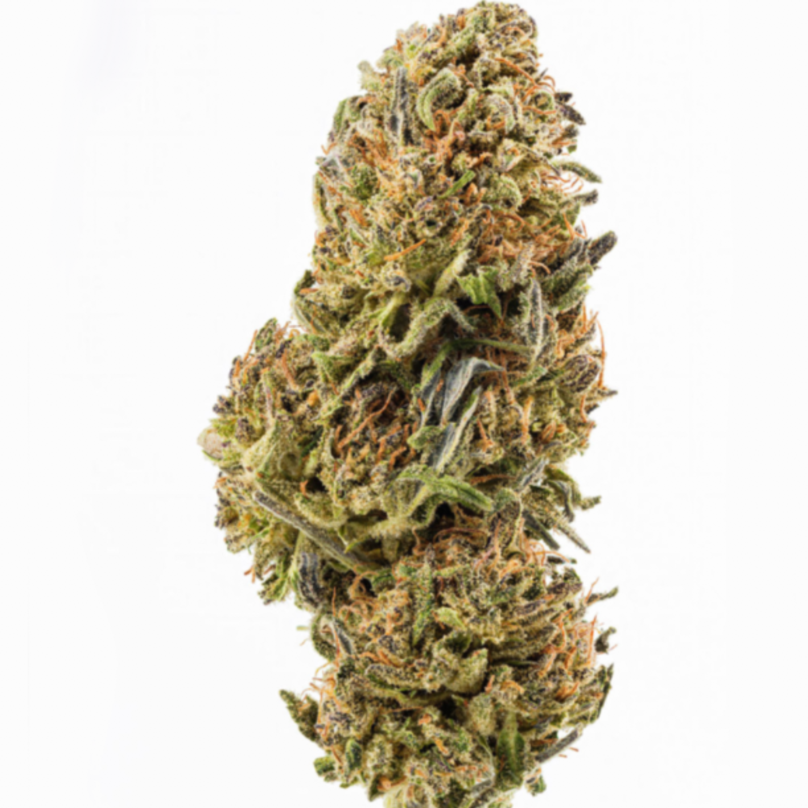 Plain Jane: Lifter CBD Hemp Flower | Leafly