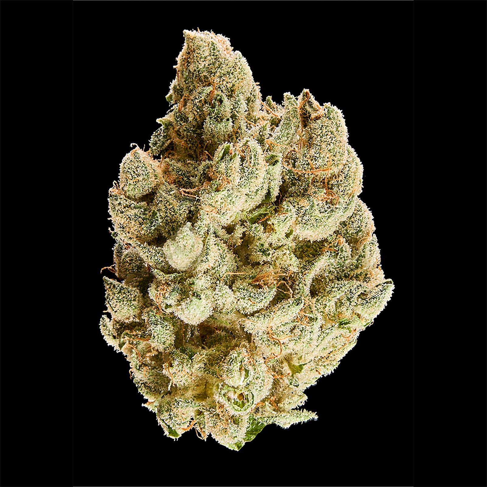 Greenline: Orange Tree | Leafly