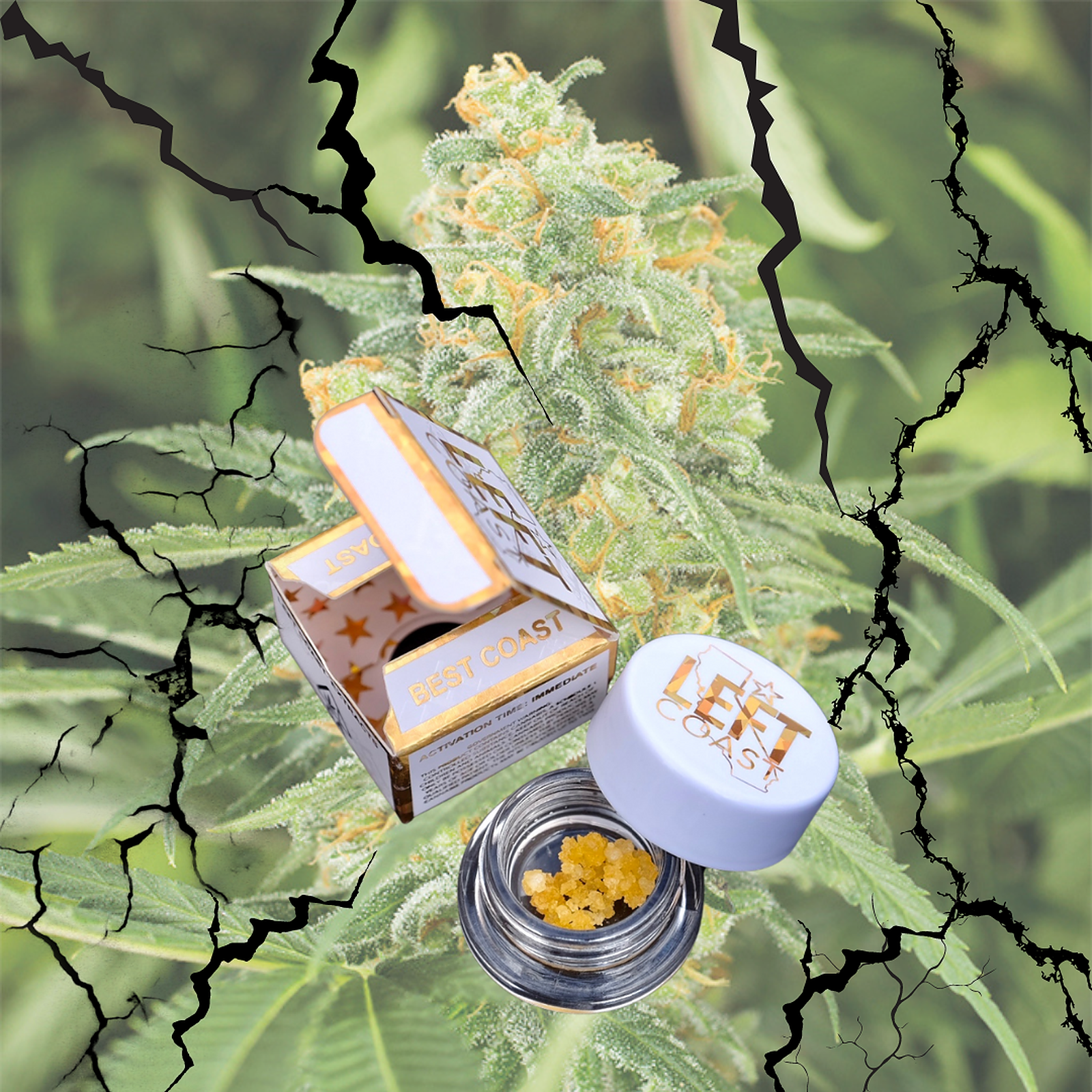 Left Coast Extracts: Green Crack - Full Spectrum Diamonds | Leafly