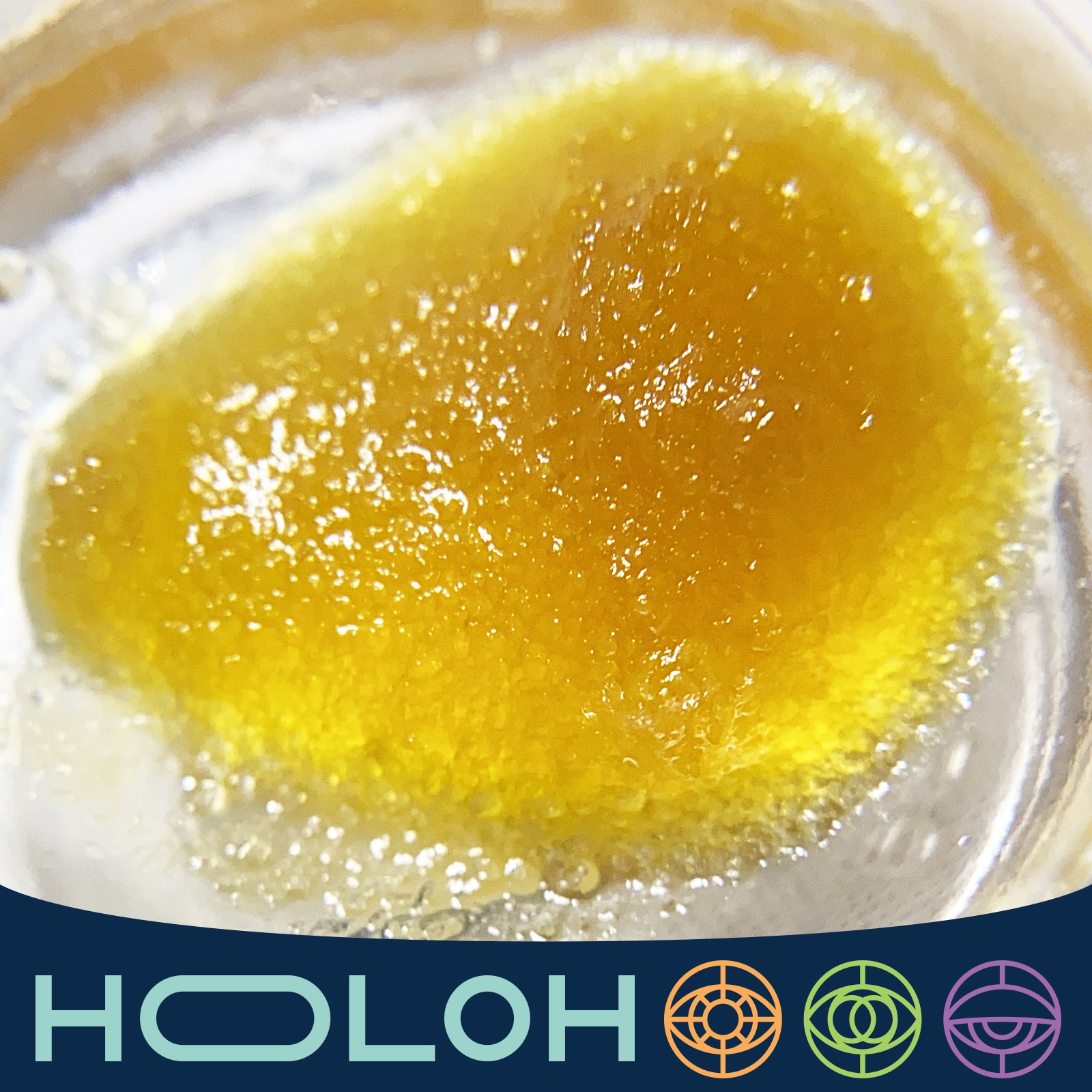 HOLOH: Lemon Brulee 1g | Leafly