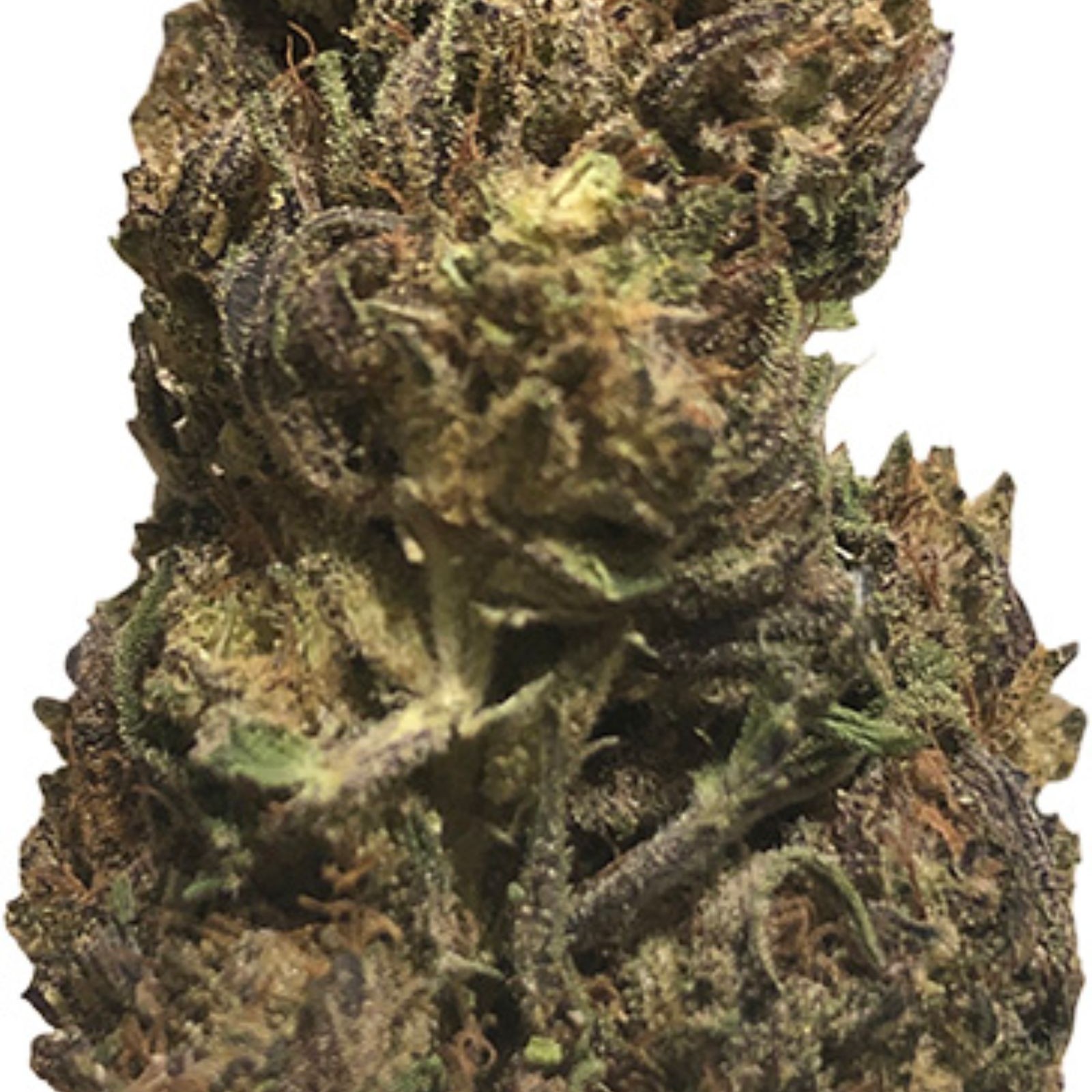 Dr. Strains CBD: CB Dawg Hemp Flower | Leafly