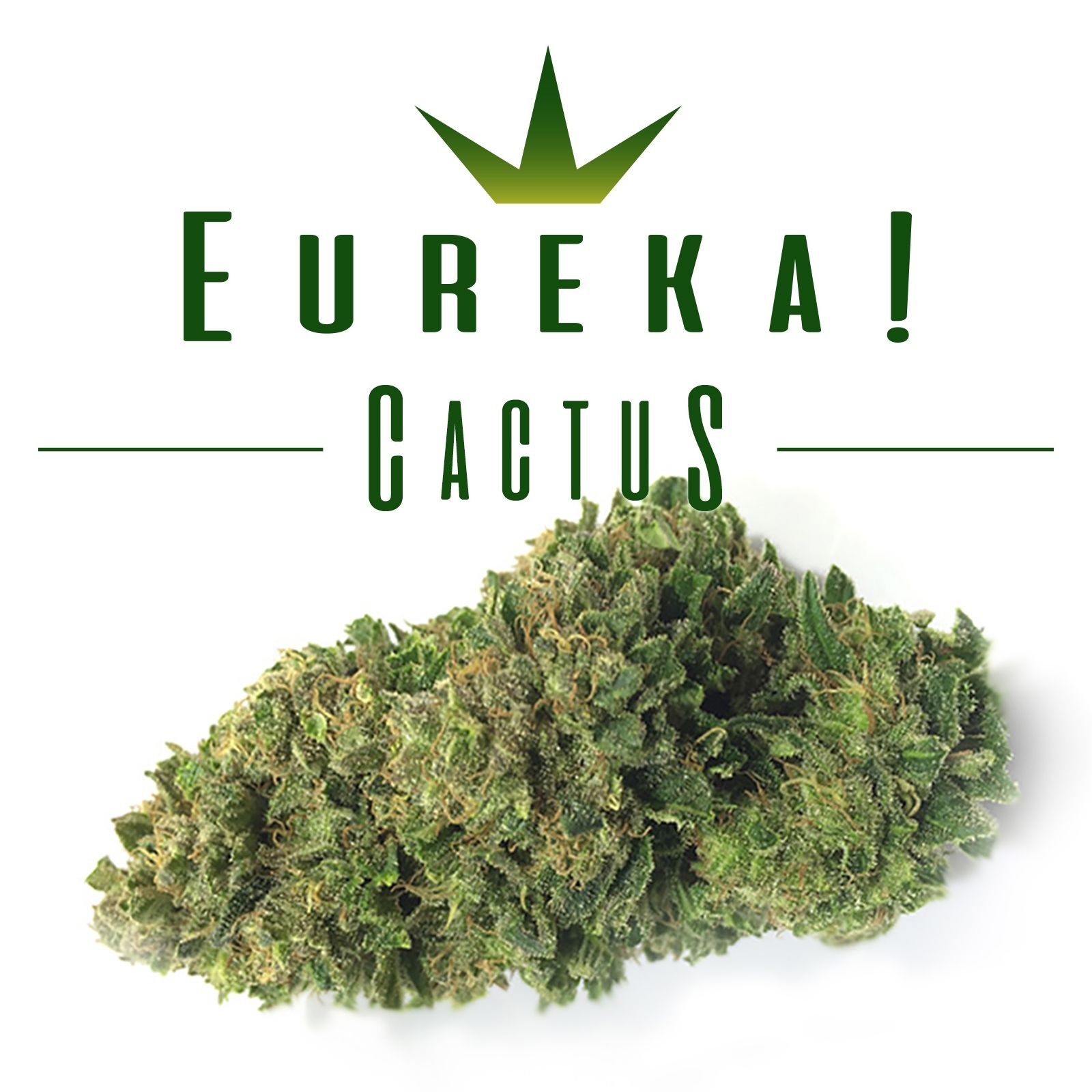 Eureka Cultivation: Cactus | Leafly