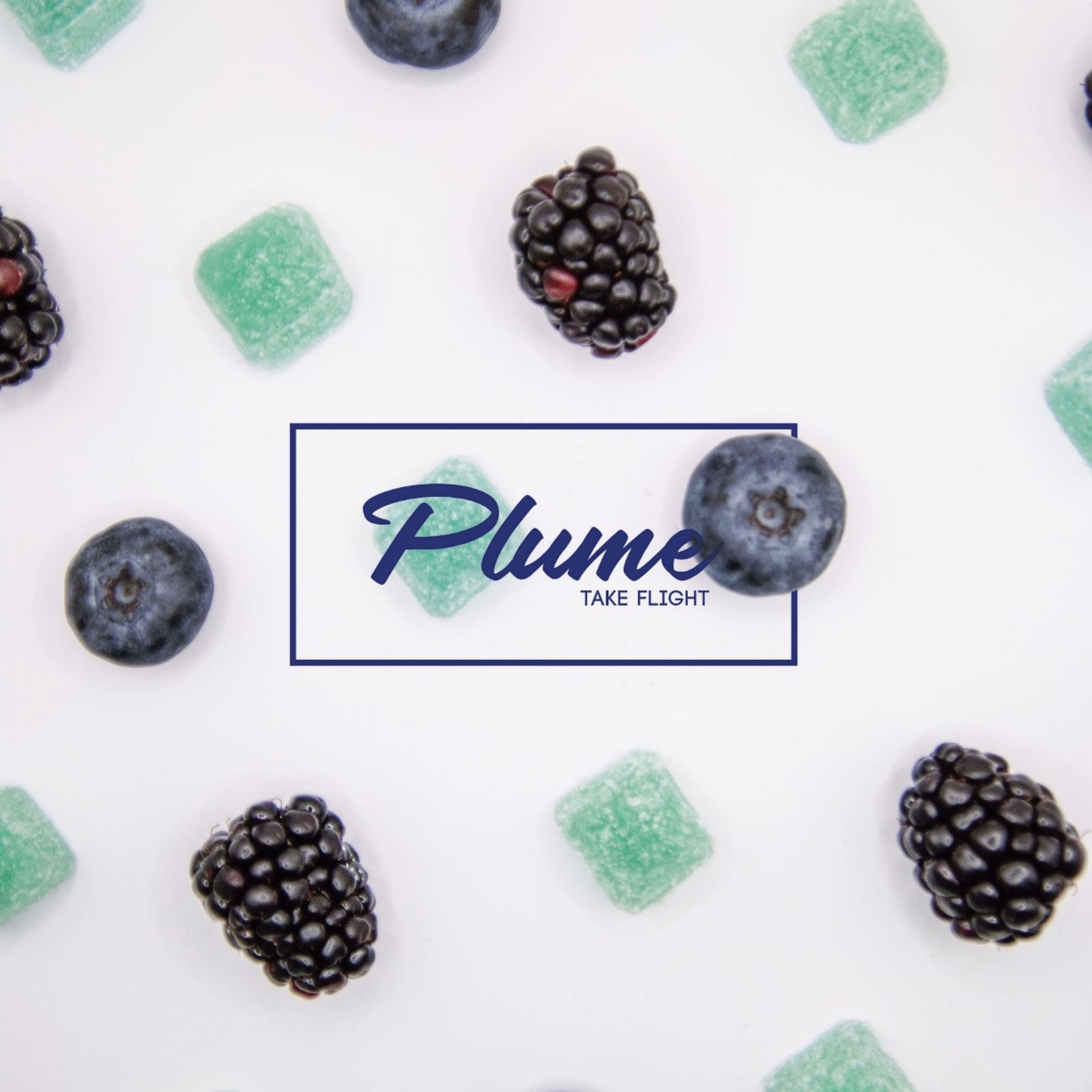 Plume: Plume Plumeberry 100 MG 10 Pack Gummies | Leafly