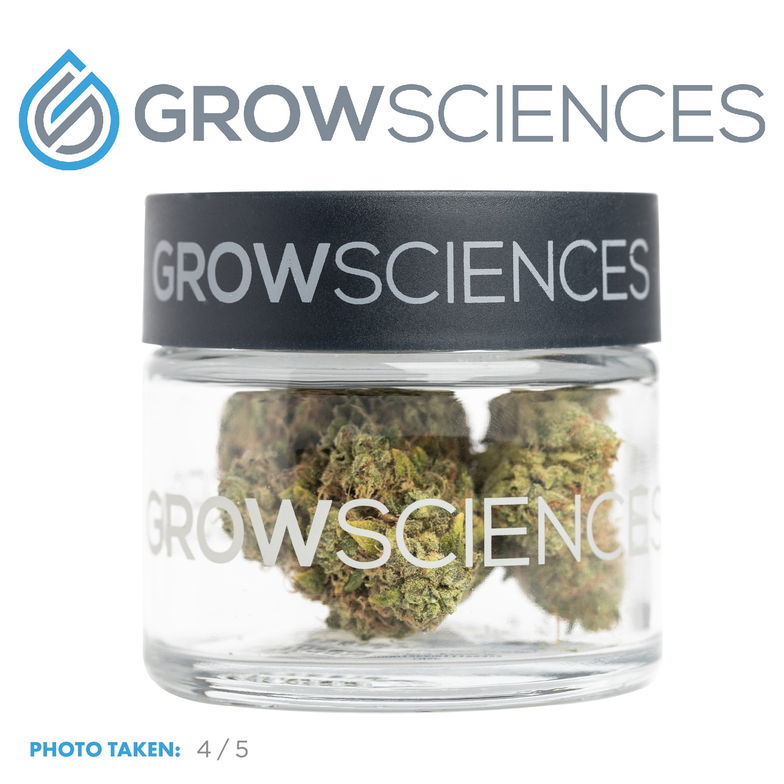 Grow Sciences: Triangle Lemons | Leafly