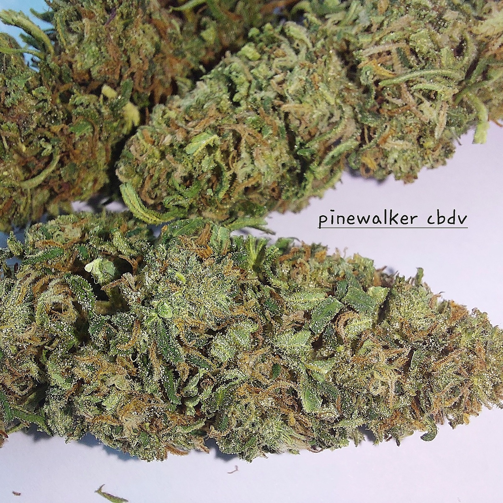 Whole Circle Farms Organic Hemp Certified Organic Hemp Flower