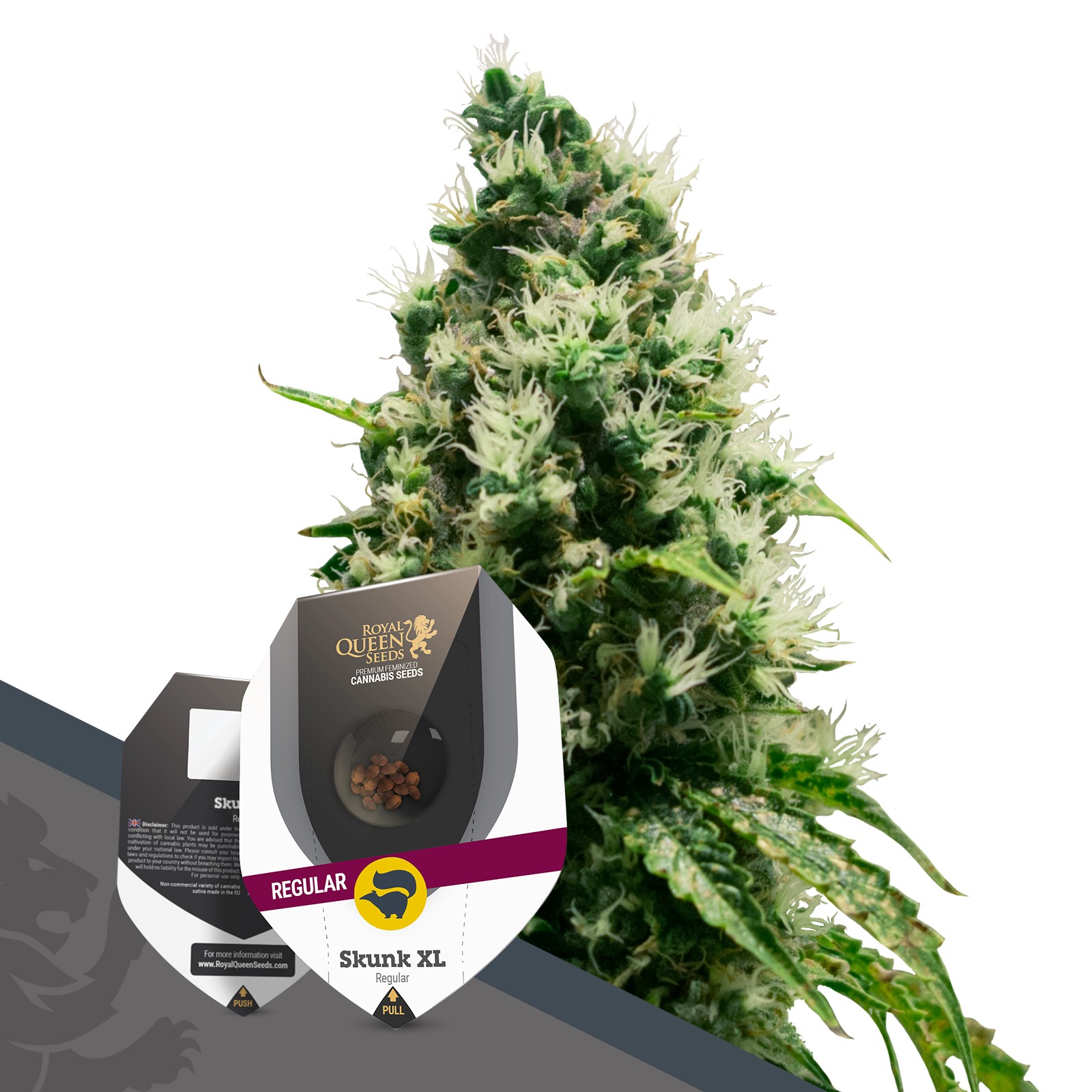 Royal Queen Seeds: Skunk XL Regular | Leafly