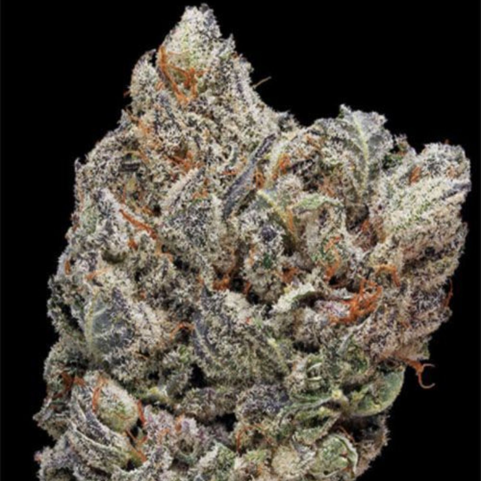 Green Leaf Medical (gLeaf): gLeaf Honey Banana | Leafly