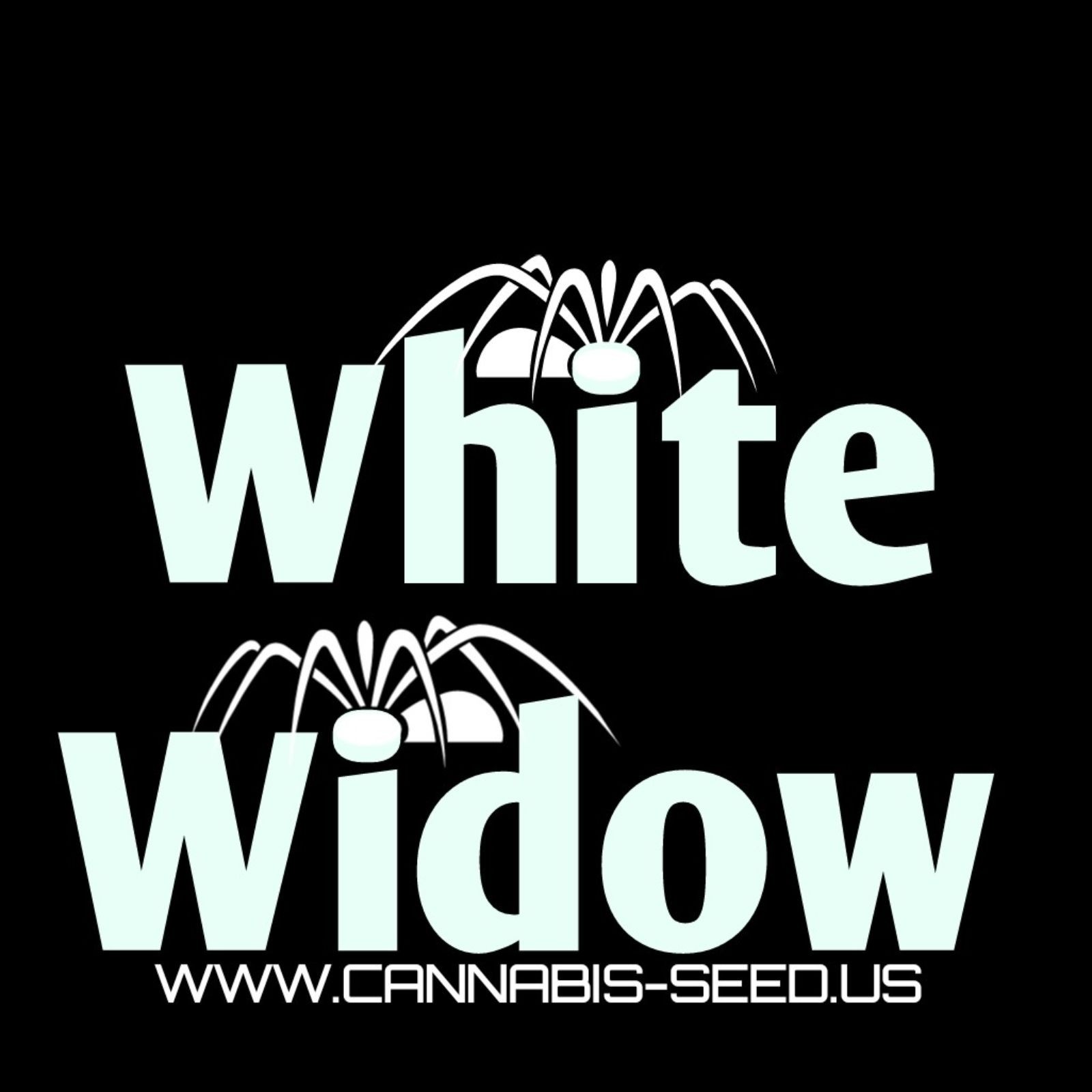 WHITE WIDOW – 100 PACK | Leafly