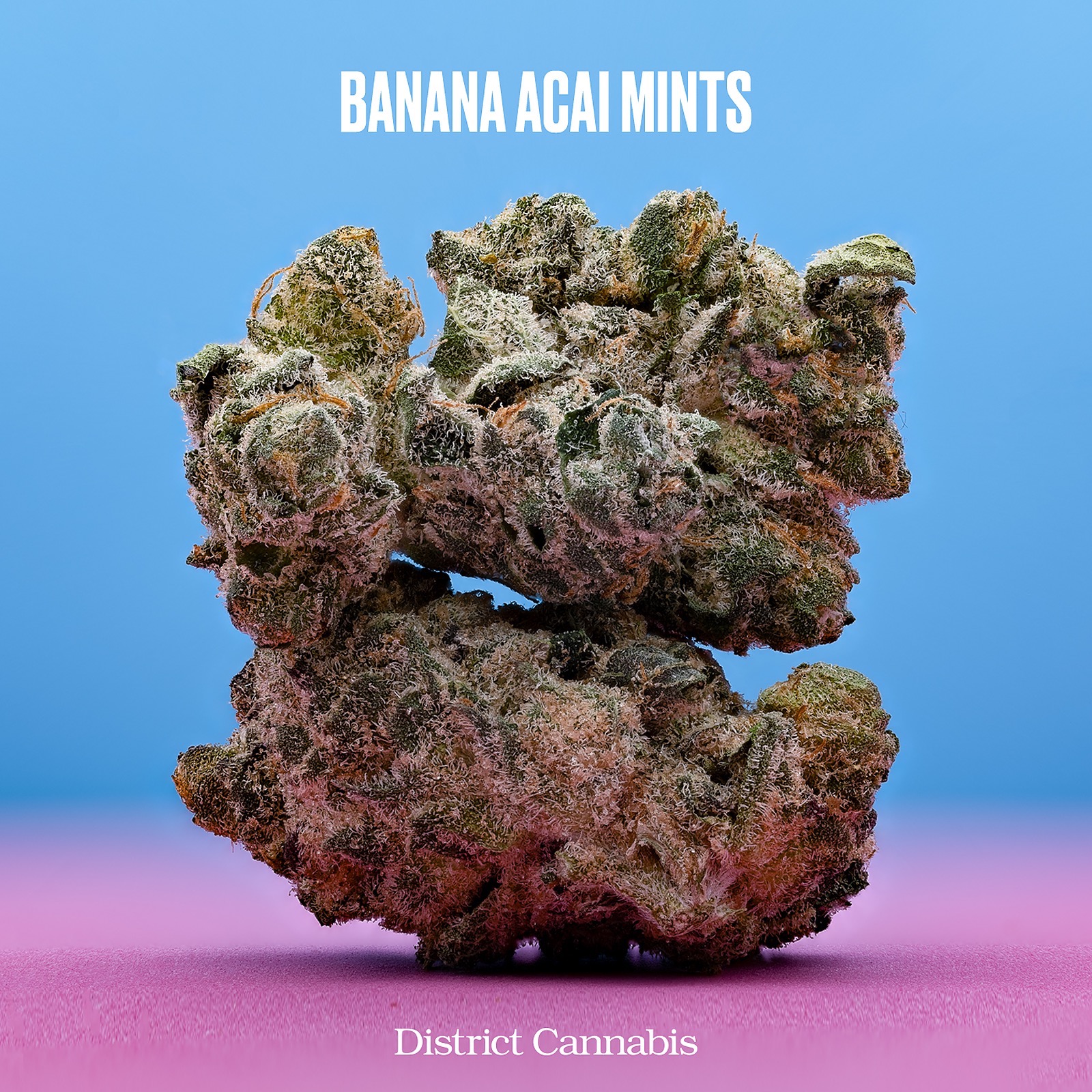 District Cannabis Banana Acai Mints Flower 14g Leafly