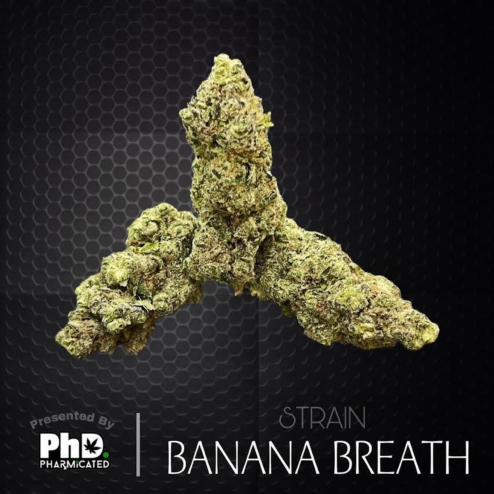 Pharmicated: PhD Indoor Flower - Banana Breath | Leafly