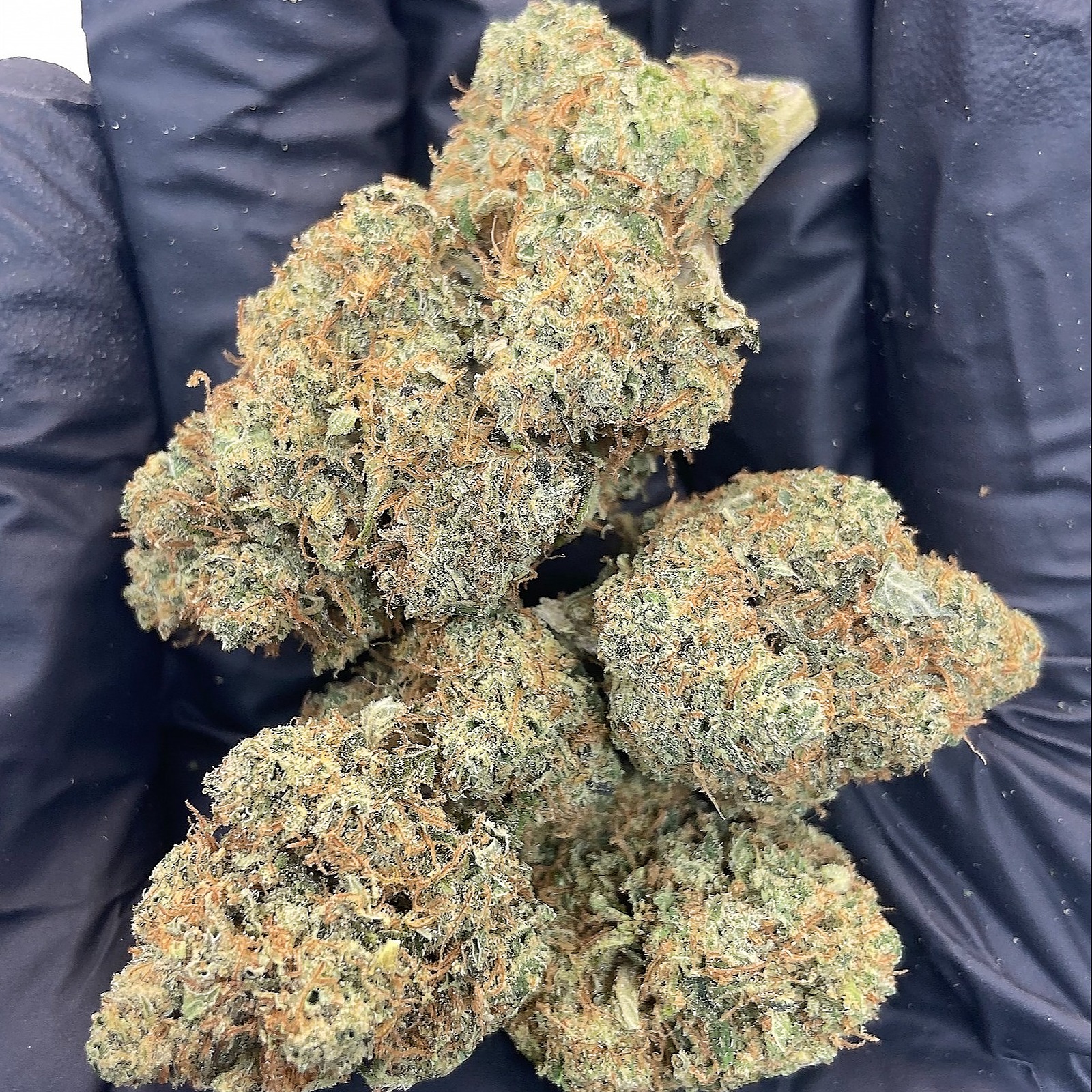 Hemp Hop: Indoor Cali Gold | Leafly