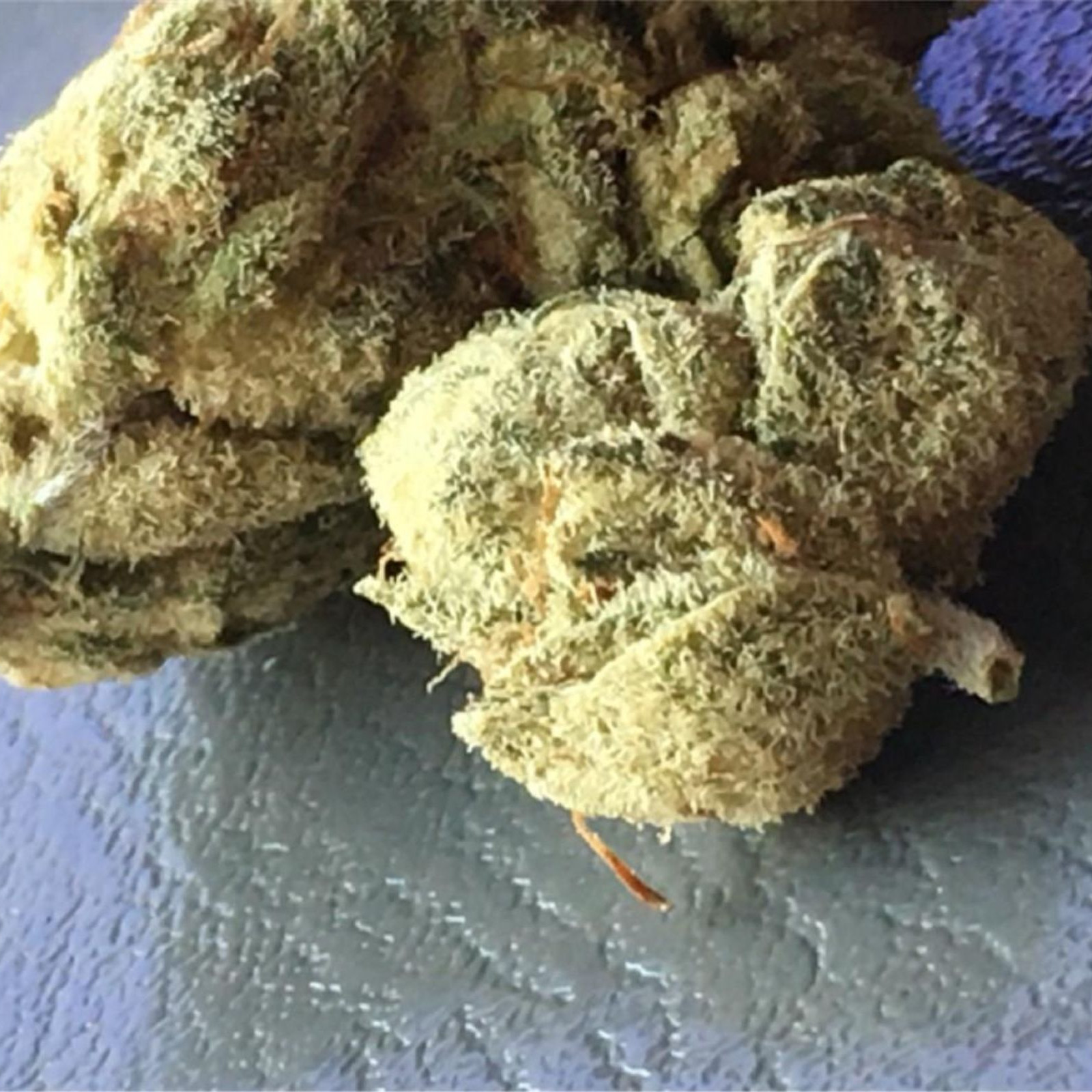 Weed for Warriors Exchange: GG4 | Leafly