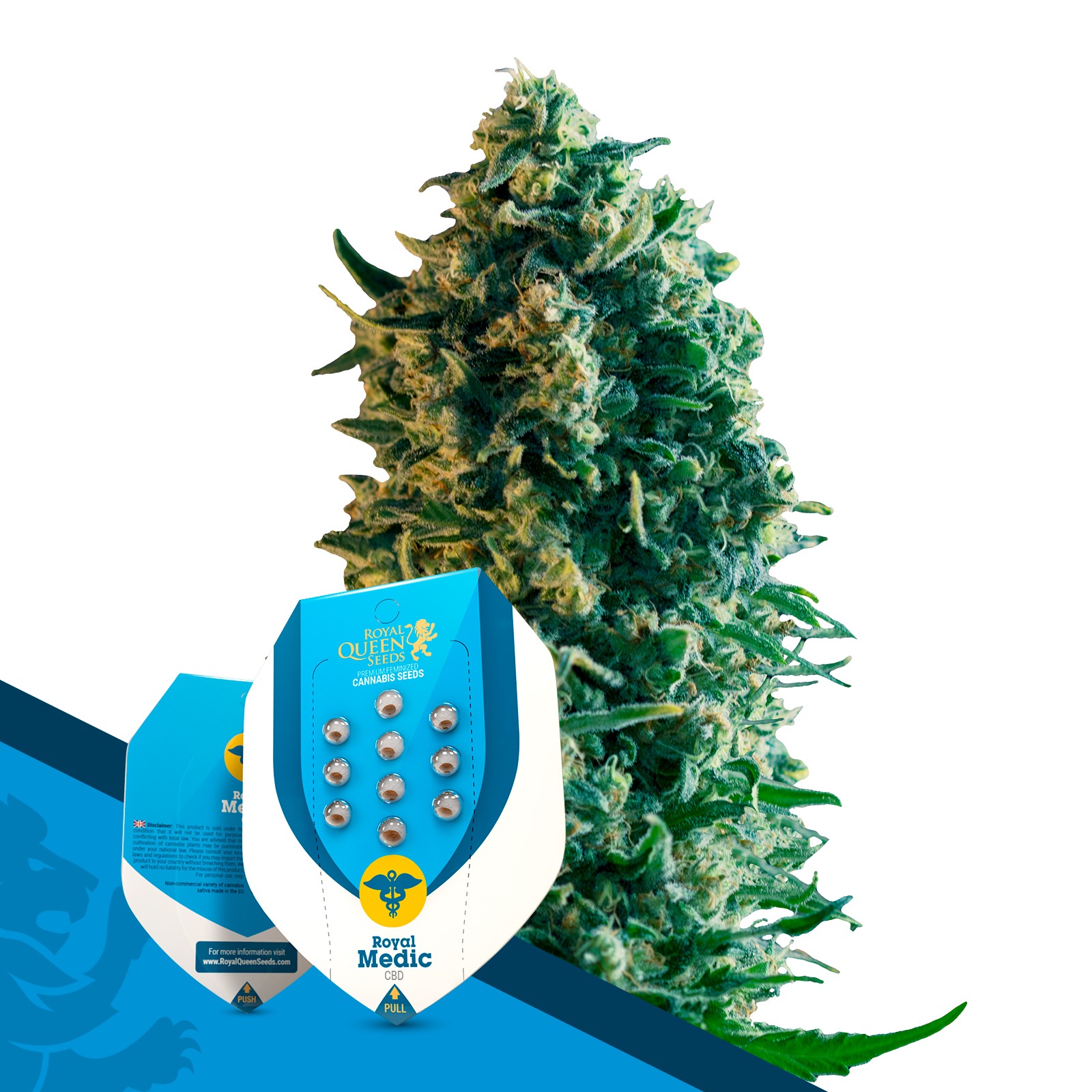 Royal Queen Seeds: Royal Medic | Leafly