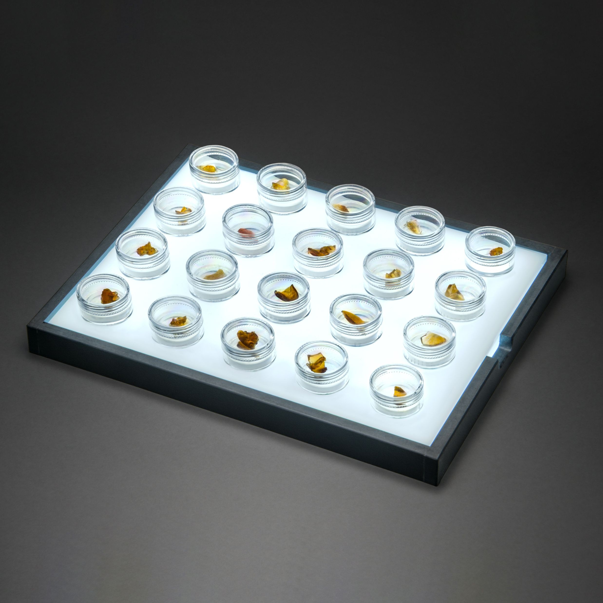 Bud Bar Displays®: Xtract Display Trays™ | Leafly