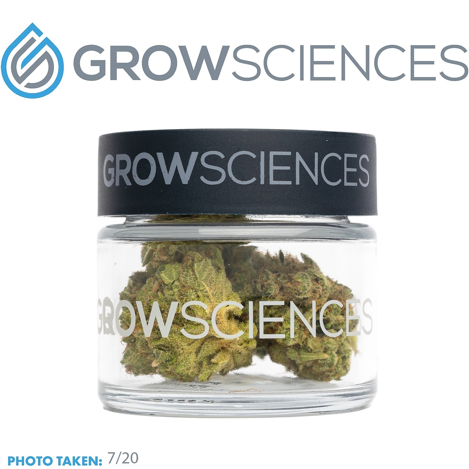Grow Sciences: Triangle Larry (3.7) | Leafly