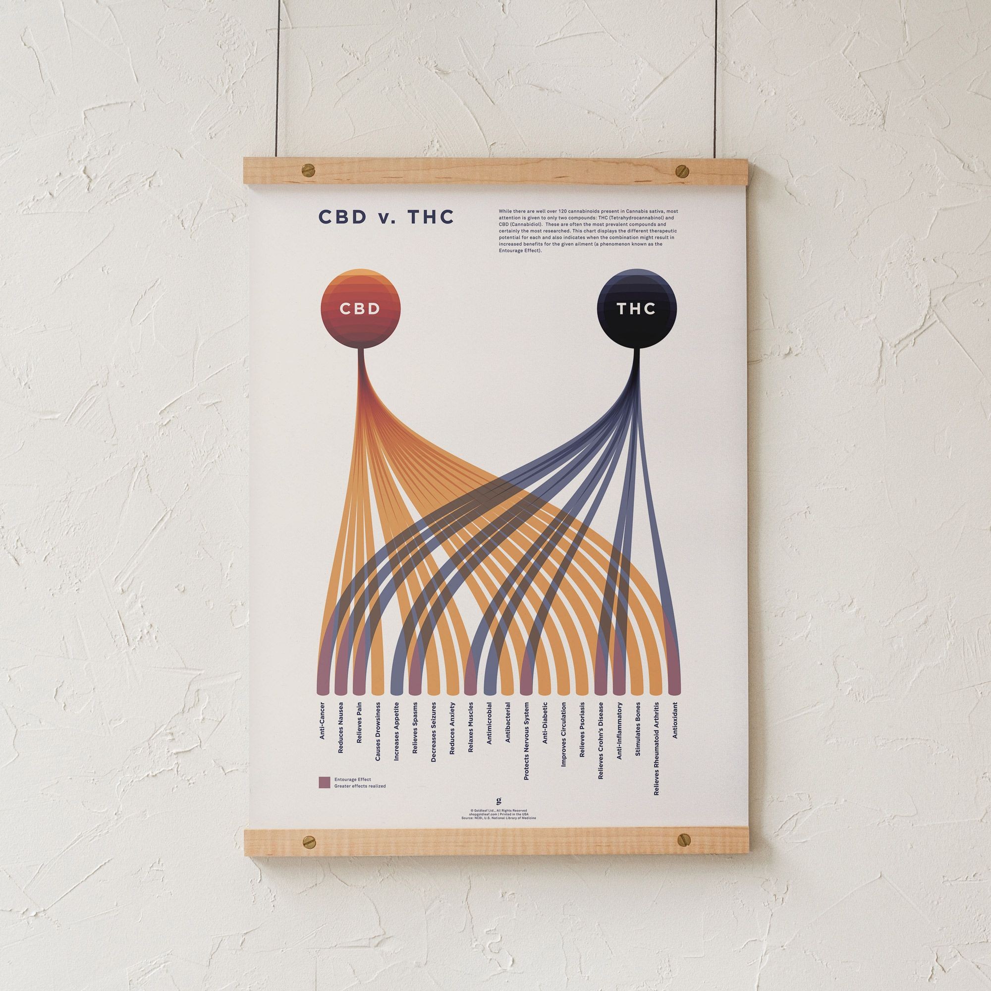 Goldleaf: CBD v. THC Comparison Chart Poster/Print | Leafly