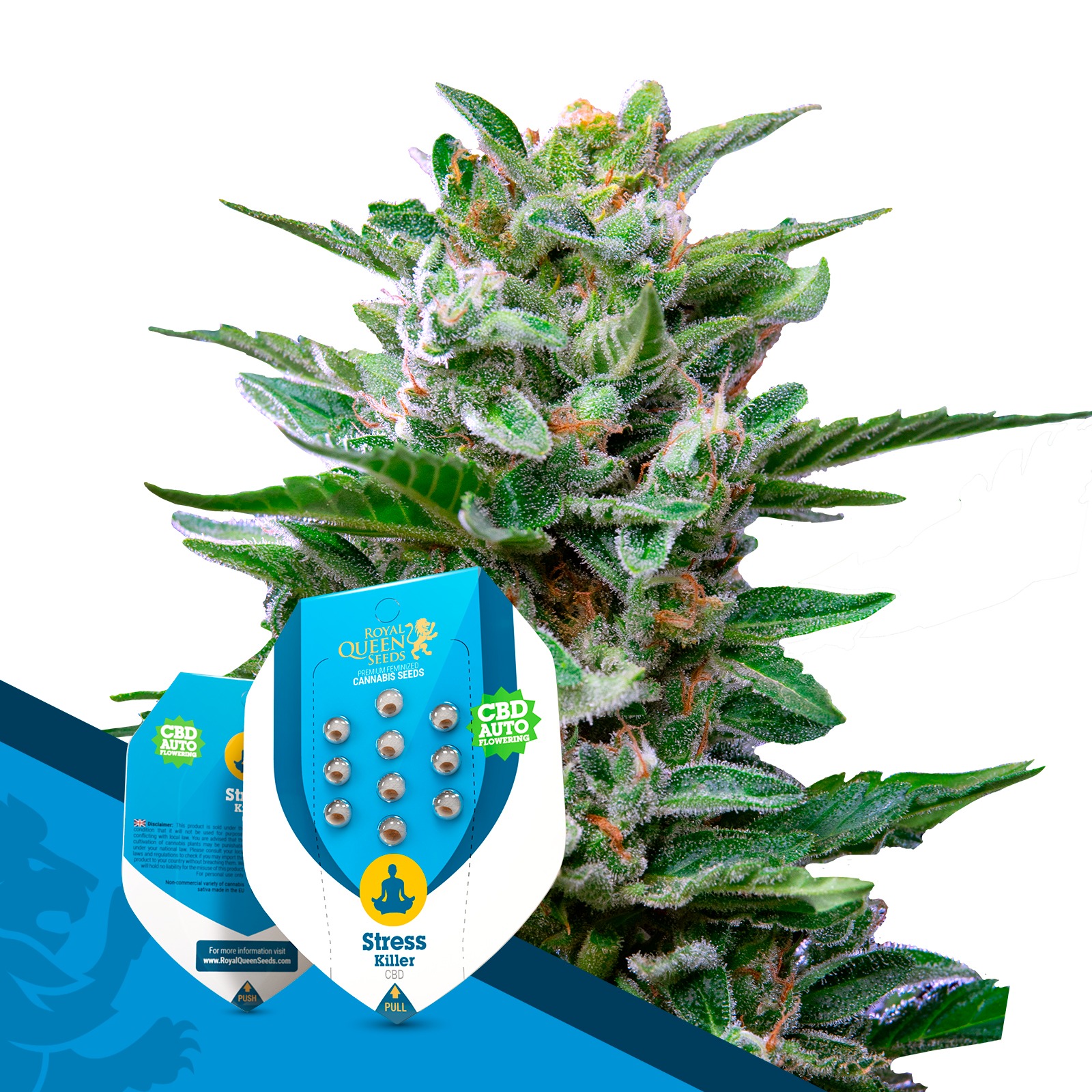 Royal Queen Seeds: Stress Killer Automatic CBD | Leafly