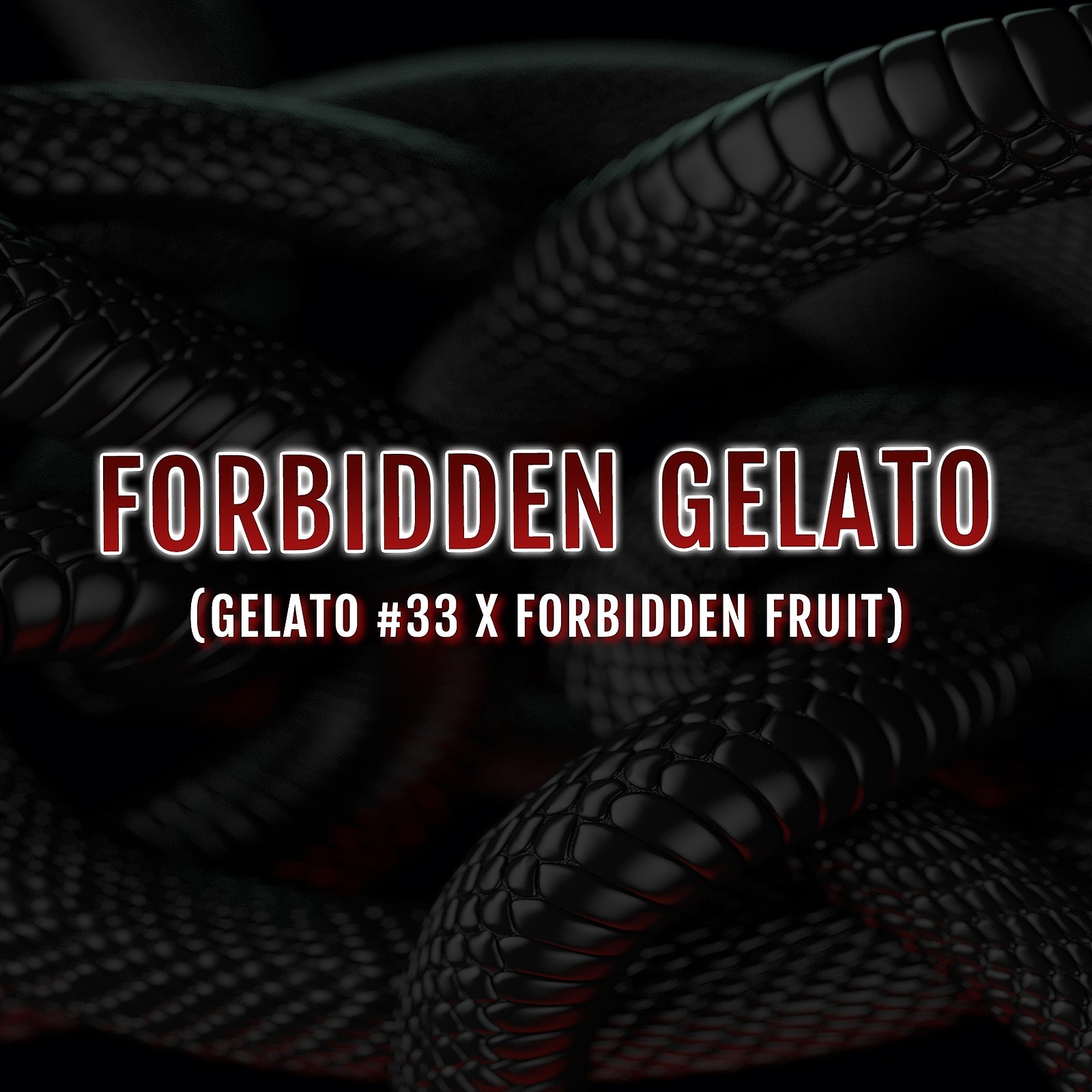 Elev8 Seeds: Forbidden Gelato (Hybrid) | Leafly