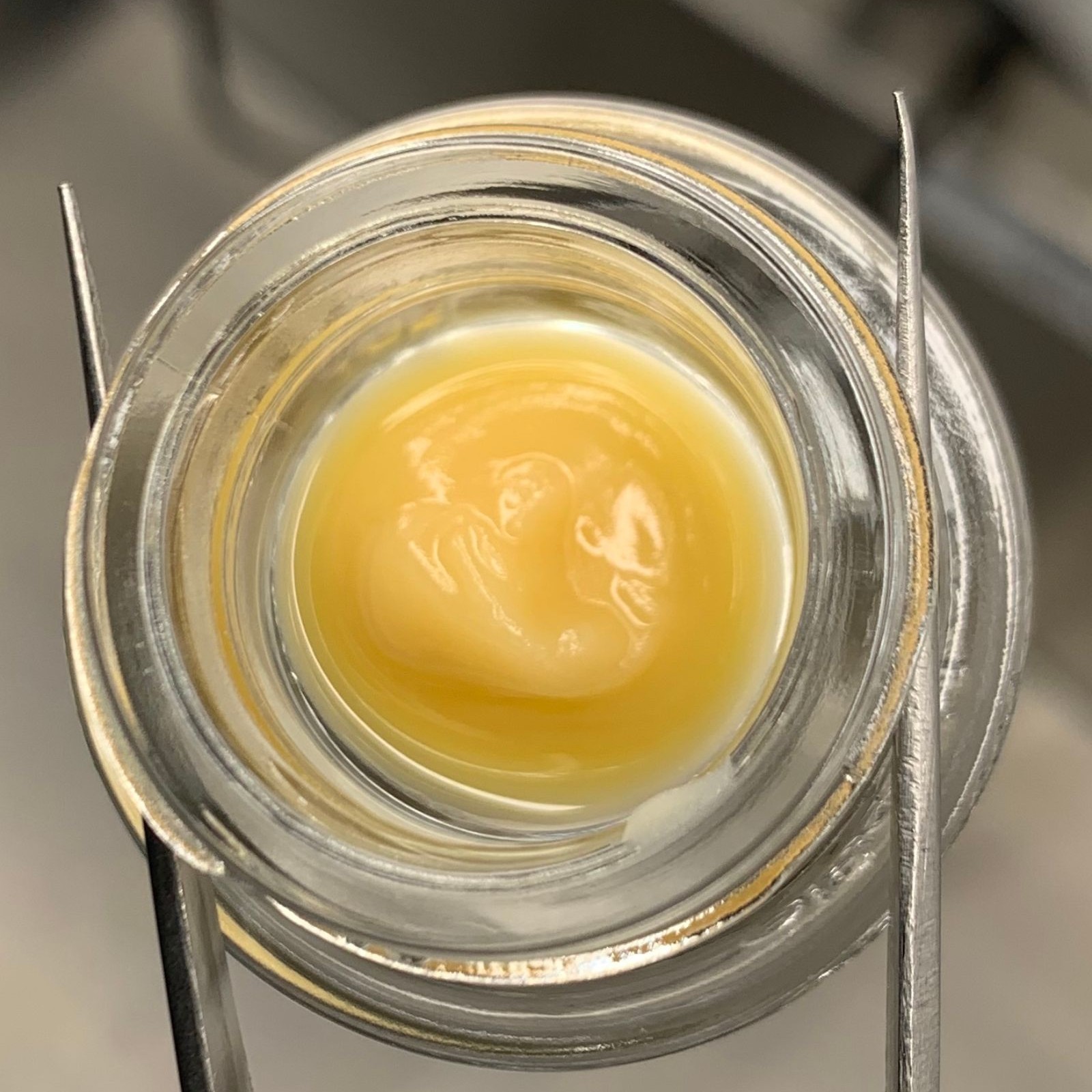 Echo Electuary: Southern Belle | Leafly