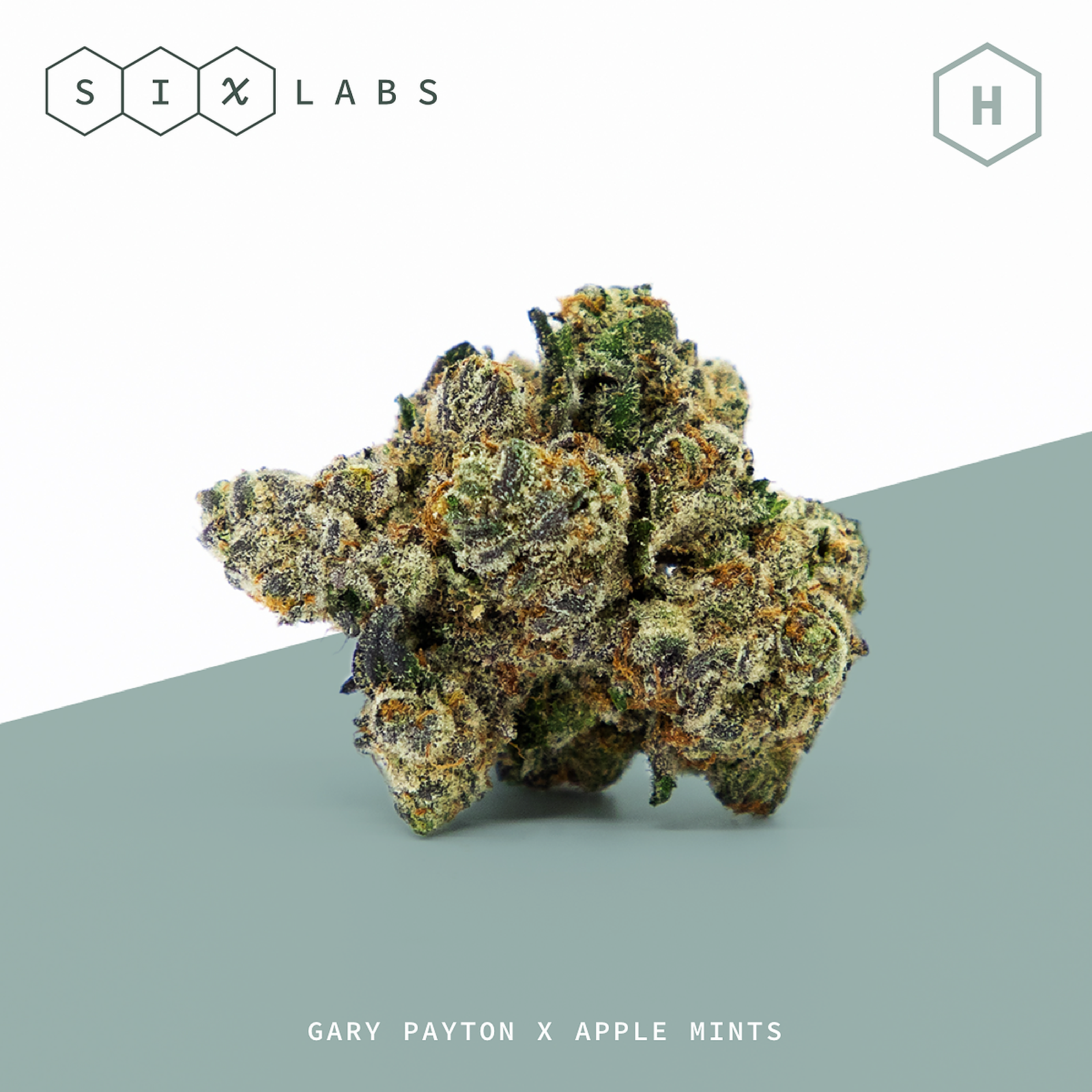 Six Labs: Gargantua | Leafly