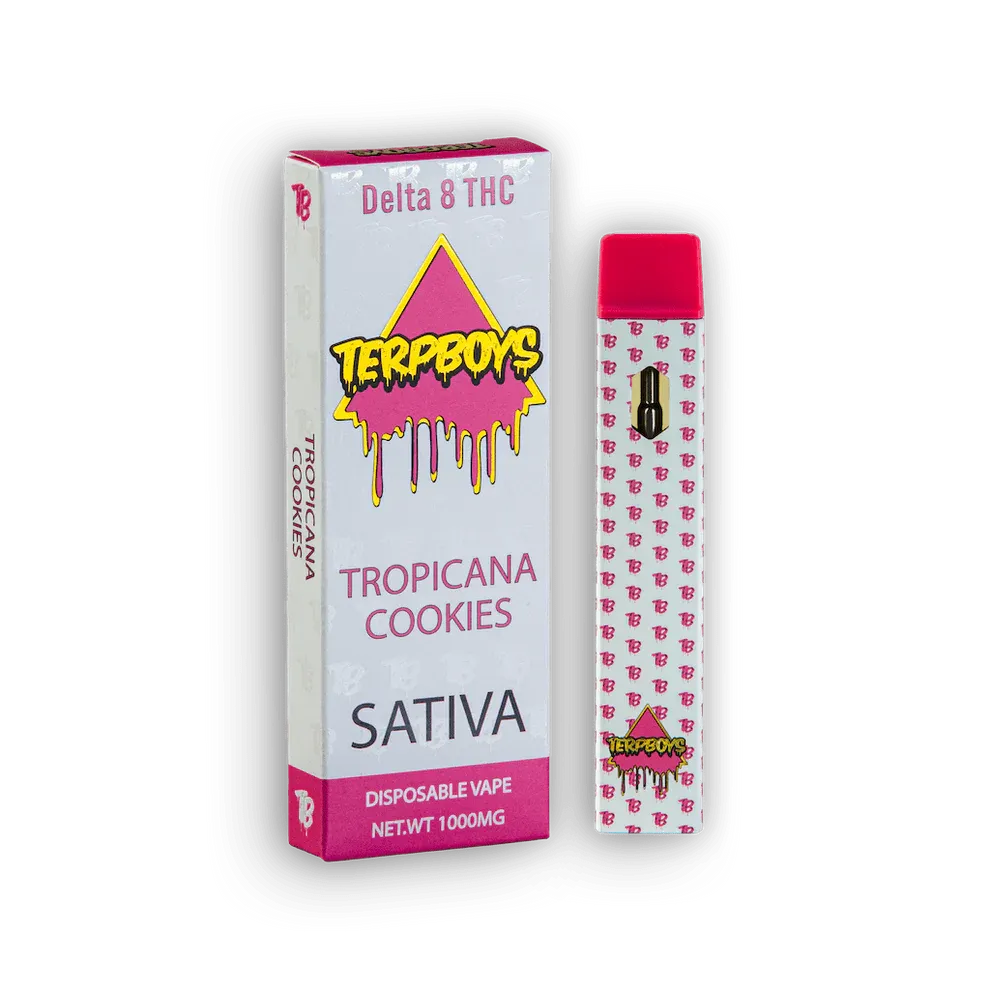 Terp Boys: Sativa Delta-8 THC Disposable Vapes 1000mg | Leafly Terp Boys: Sativa Delta-8 THC Disposable Vapes 1000mg | Leafly