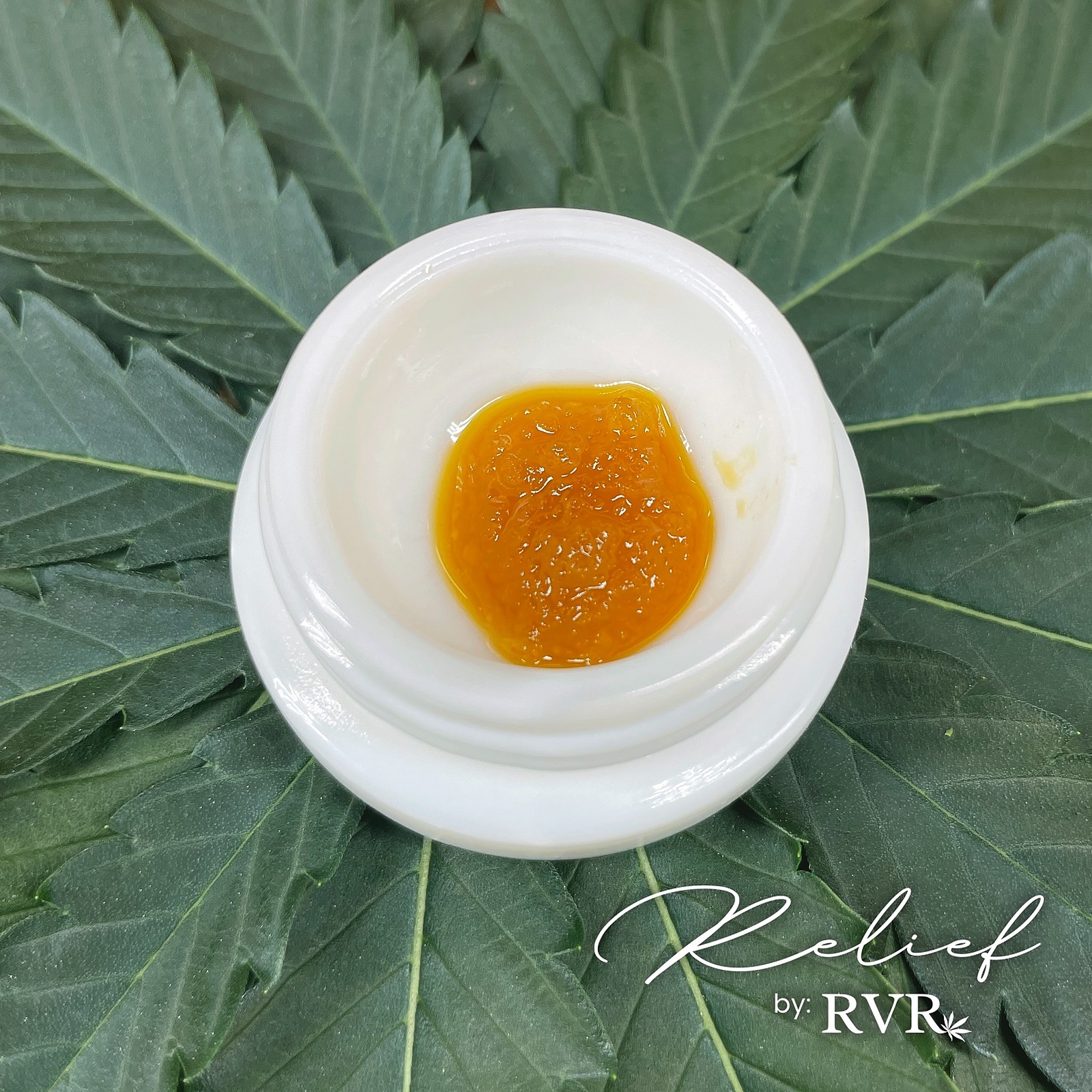 River Valley Relief: Banjo Sativa Hybrid Live Sugar | Leafly