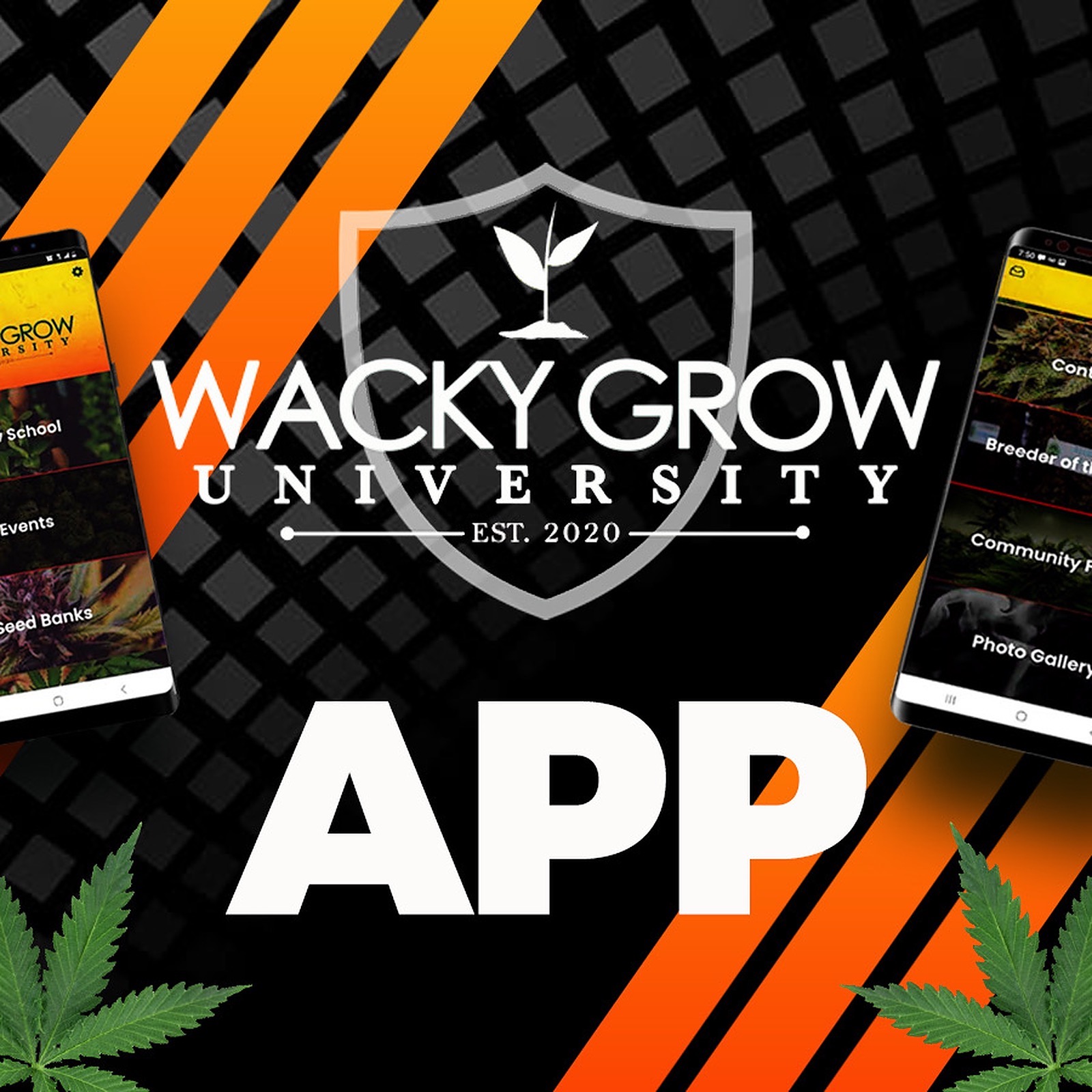 Wacky Grow: Wacky Grow | Leafly