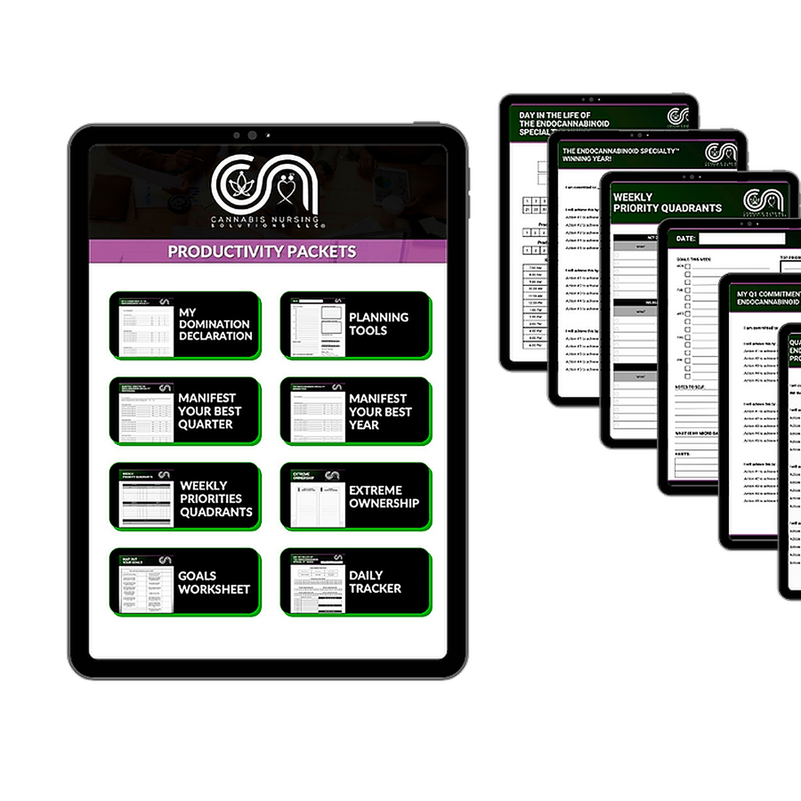 Cannabis Nursing Solutions: Professional Productivity Packet for the ...