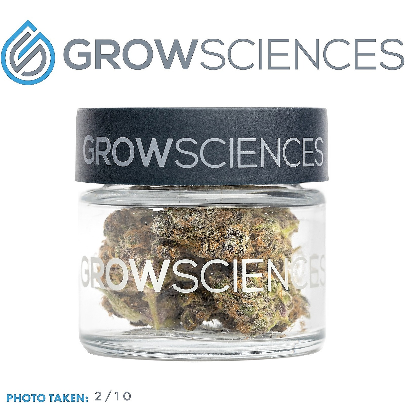 Grow Sciences: Tropicana Punch (3.7) | Leafly
