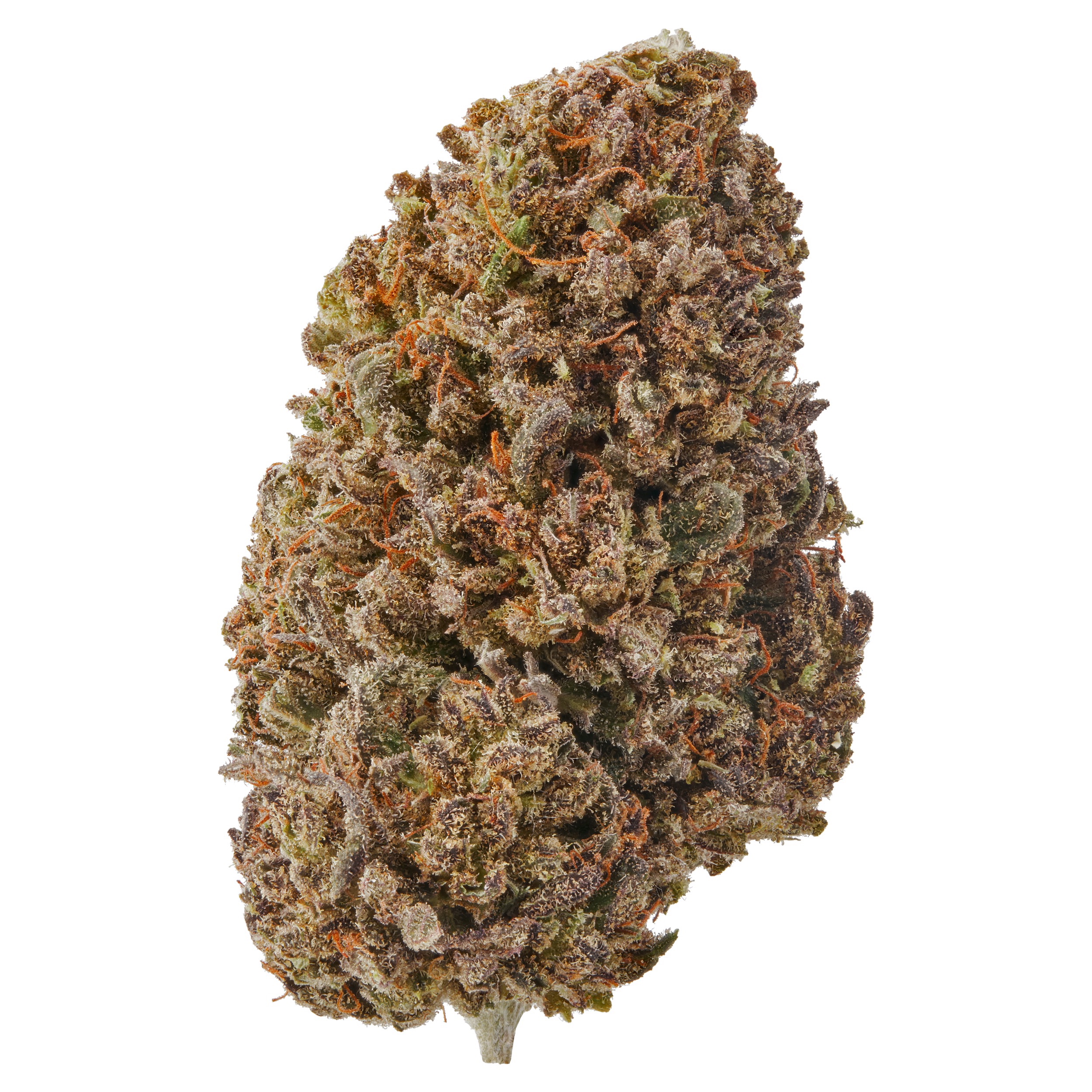 Jupiter Knights Hemp Co.: Hawaiian Haze Hemp Flower | Leafly