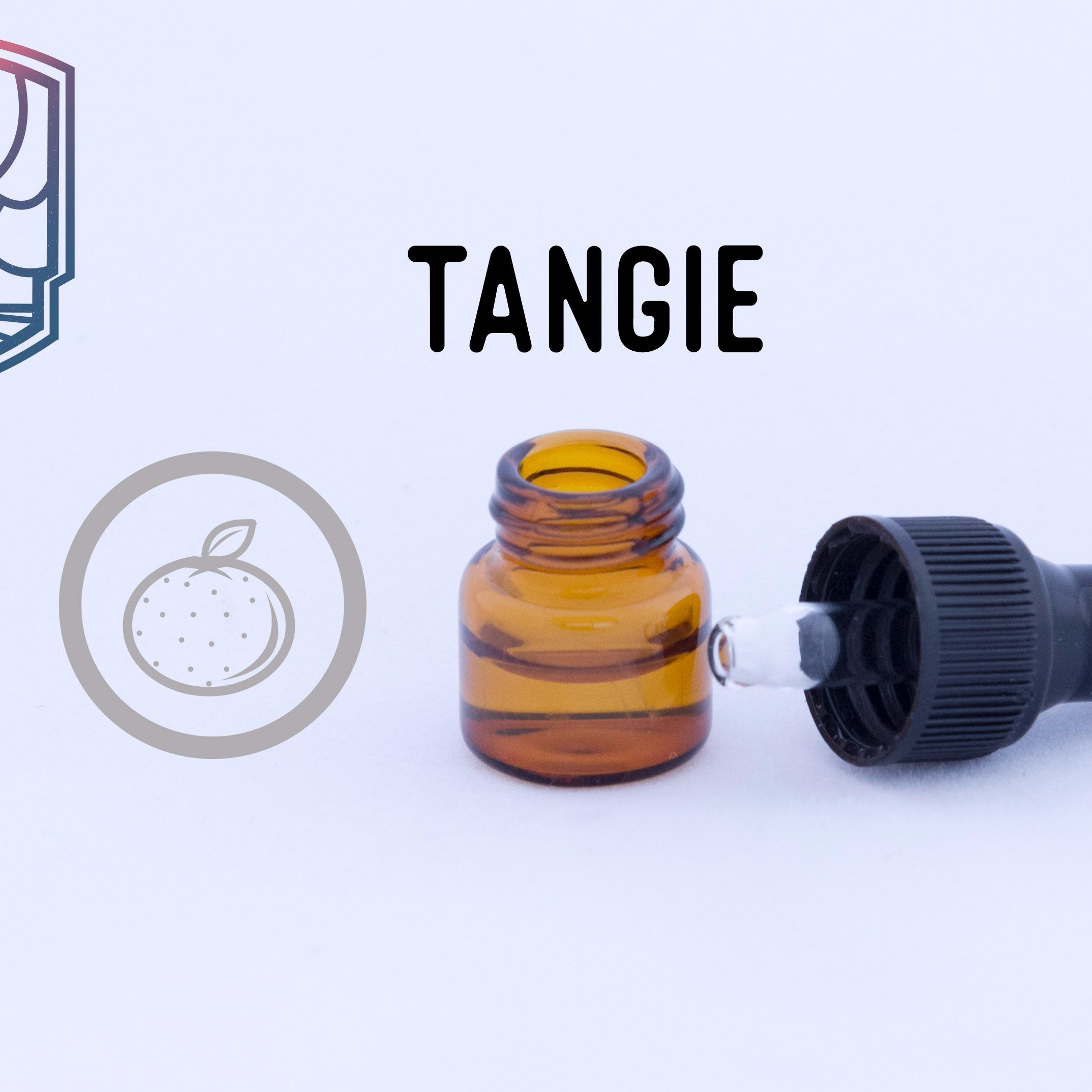 Wholest: Tangie Cannabis Terpenes 1mL | Leafly