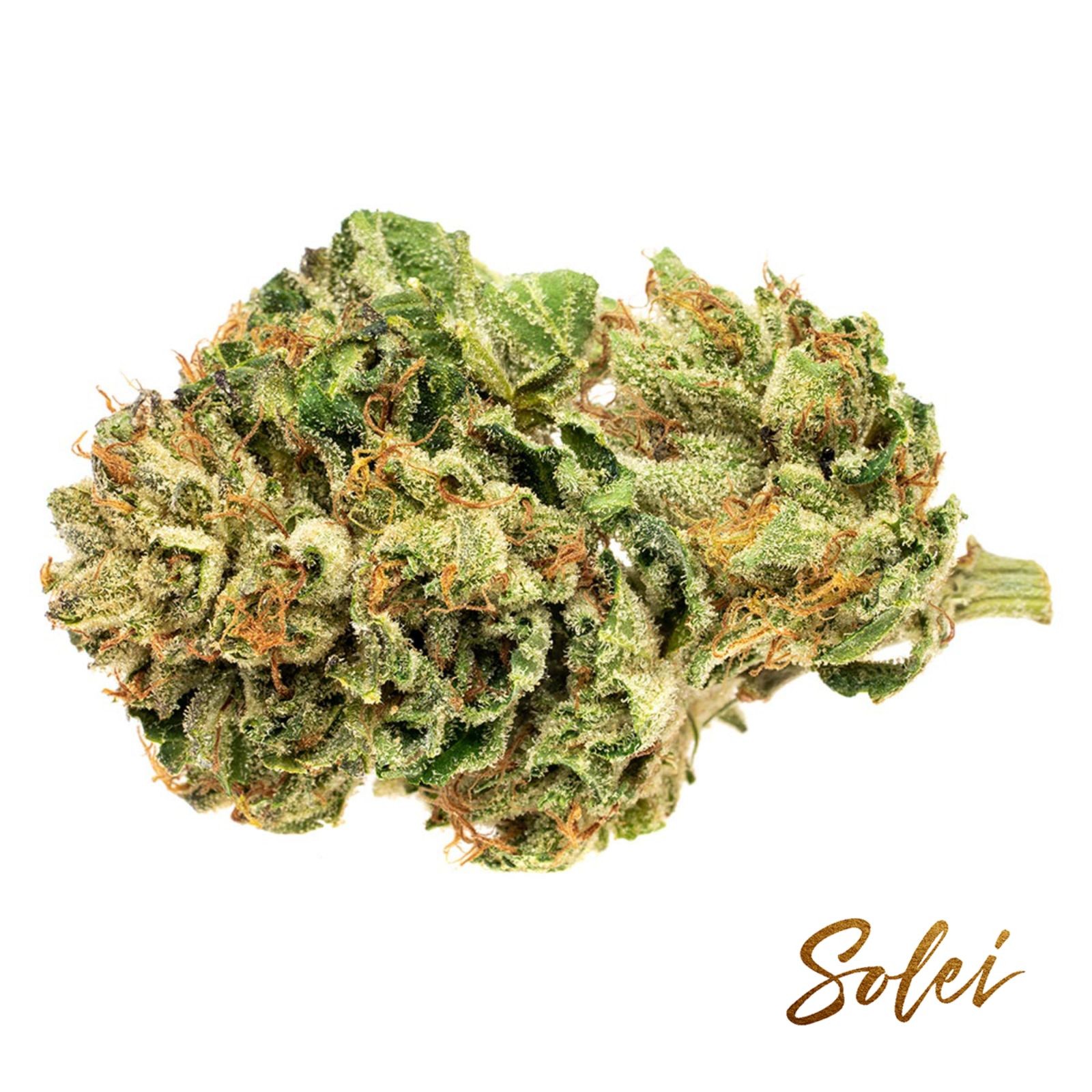 Solei Sungrown Cannabis: Unplug (Rockstar Kush) | Leafly Solei Sungrown Cannabis: Unplug (Rockstar Kush) | Leafly