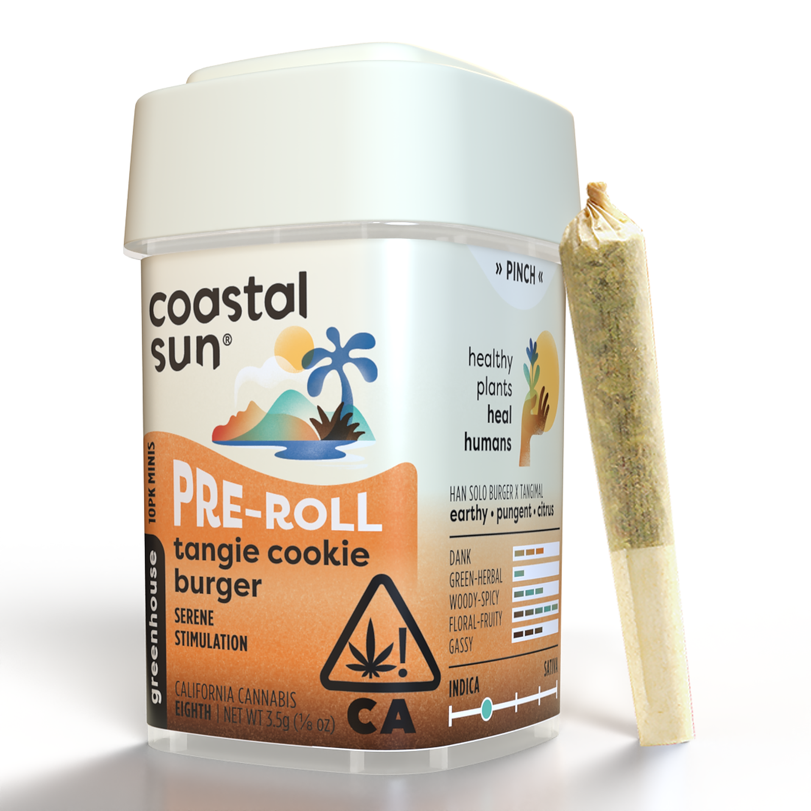 Coastal Sun Farm: Tangie Cookie Burger Greenhouse Pre-Roll 10-Pack | Leafly