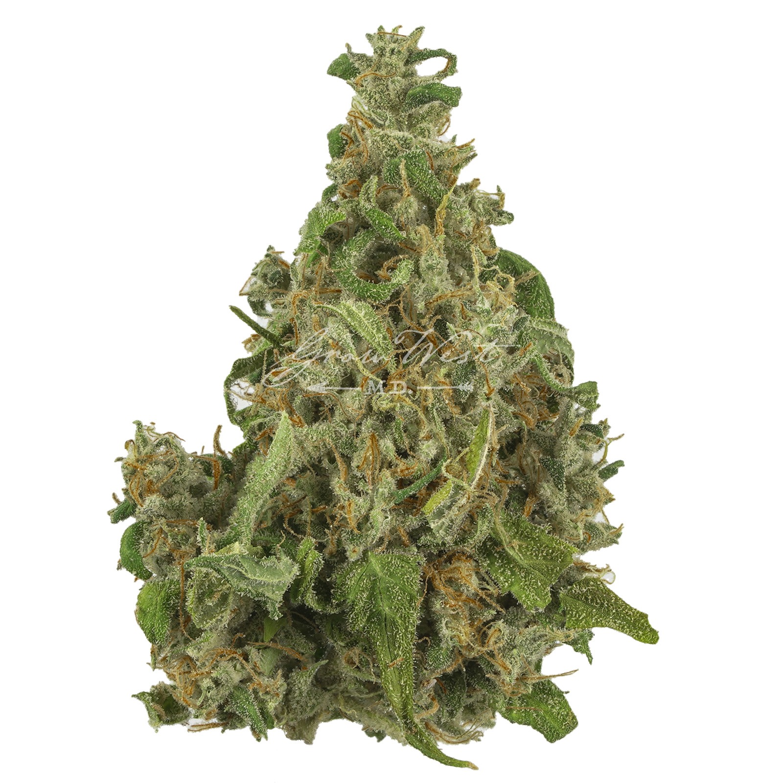 Grow West Cannabis Company: Cherry AK-47 Untrimmed | Silver | Leafly