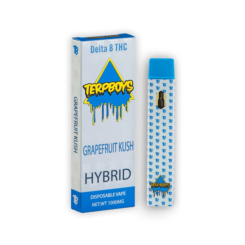 Terp Boys: Hybrid Delta-8 THC Disposable Vapes 1000mg | Leafly