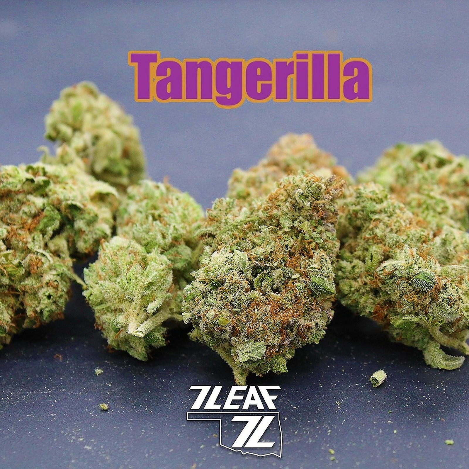 7 Leaf OK: Tangerilla | Leafly