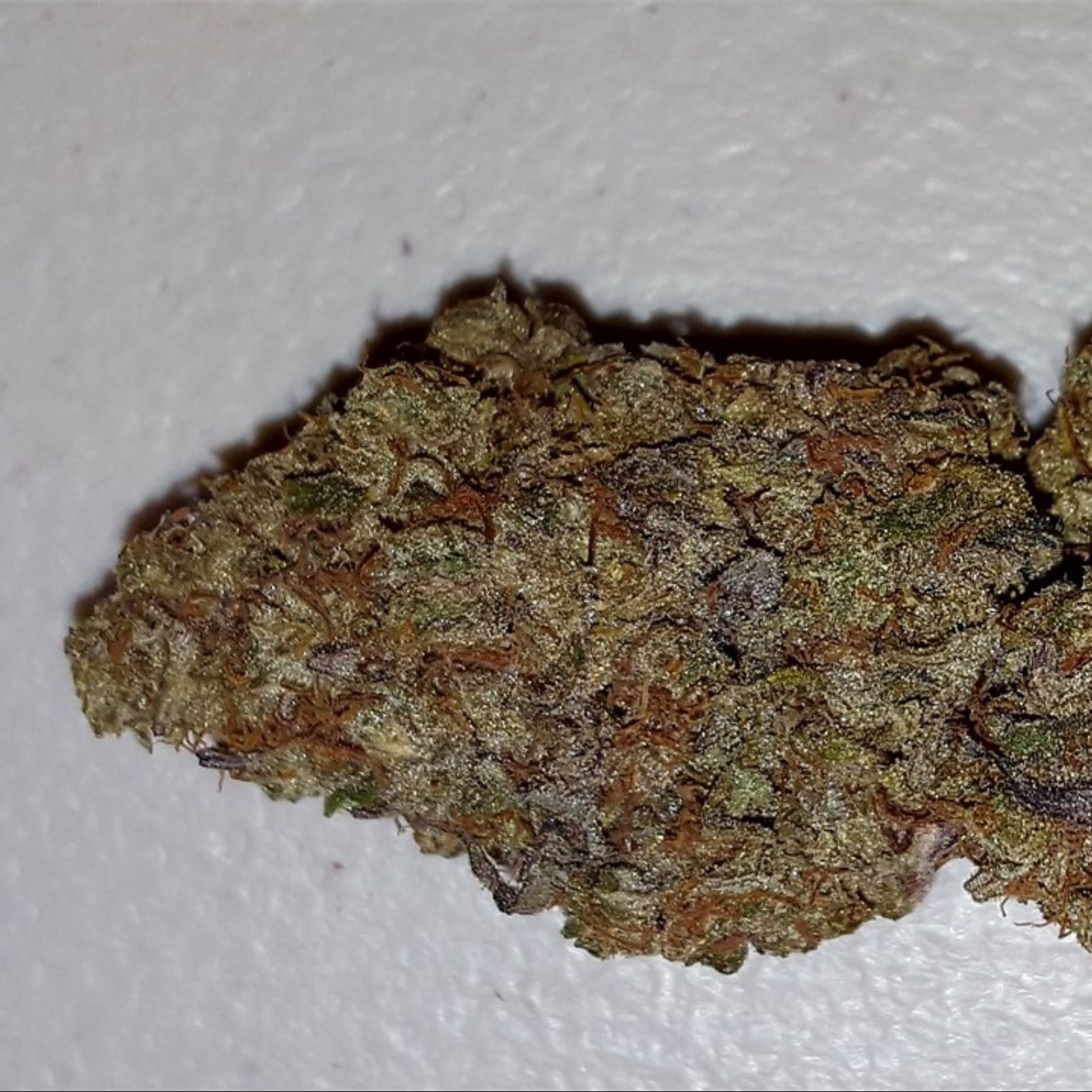 Sixtech: Purple Trainwreck | Leafly